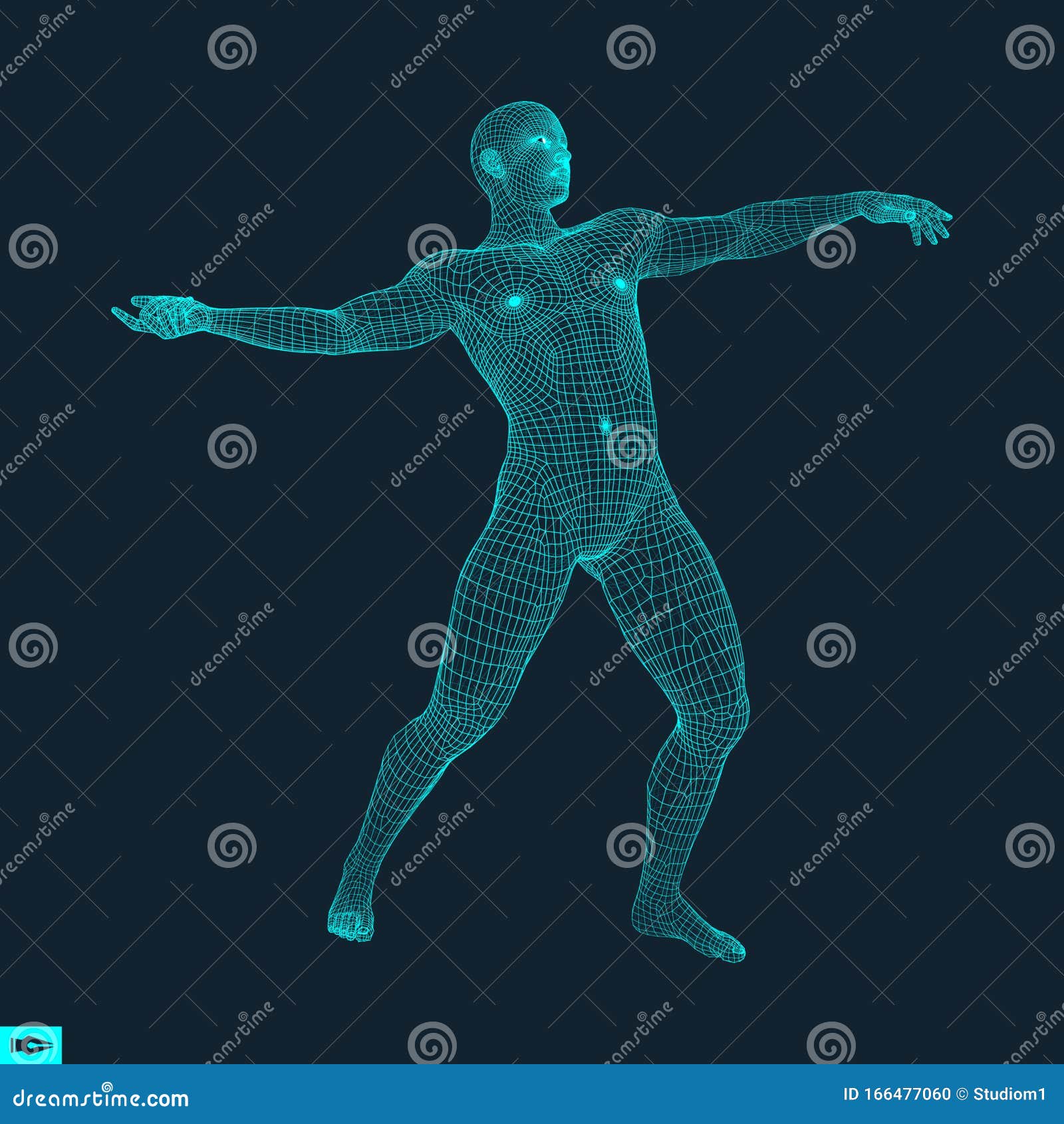 3D Model of Man. Human Body Wire Model. Design Element Stock Vector ...