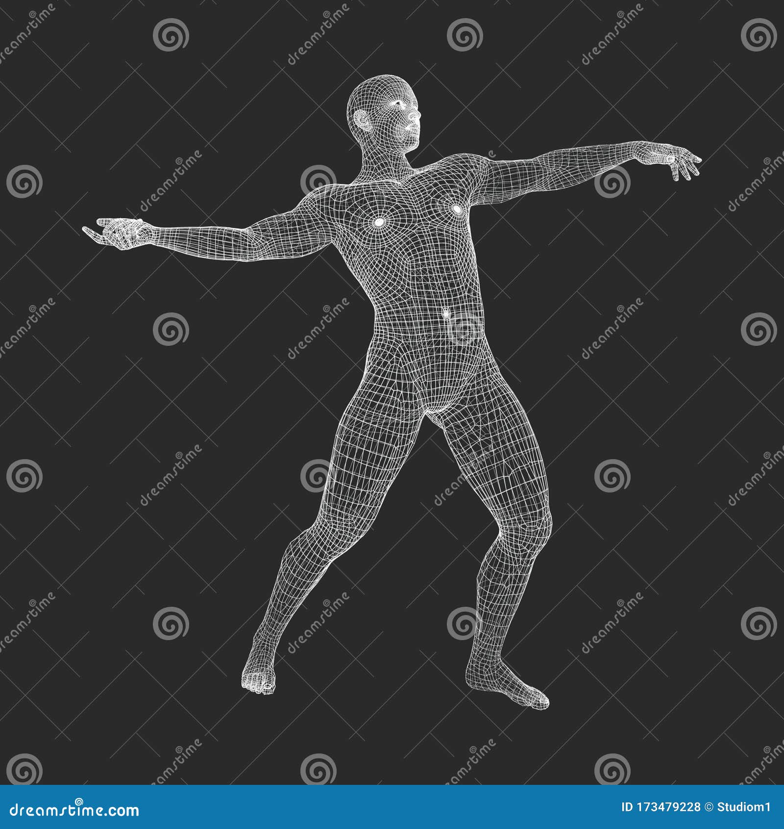 3D Model of Man. Human Body Wire Model. Design Element Stock Vector ...