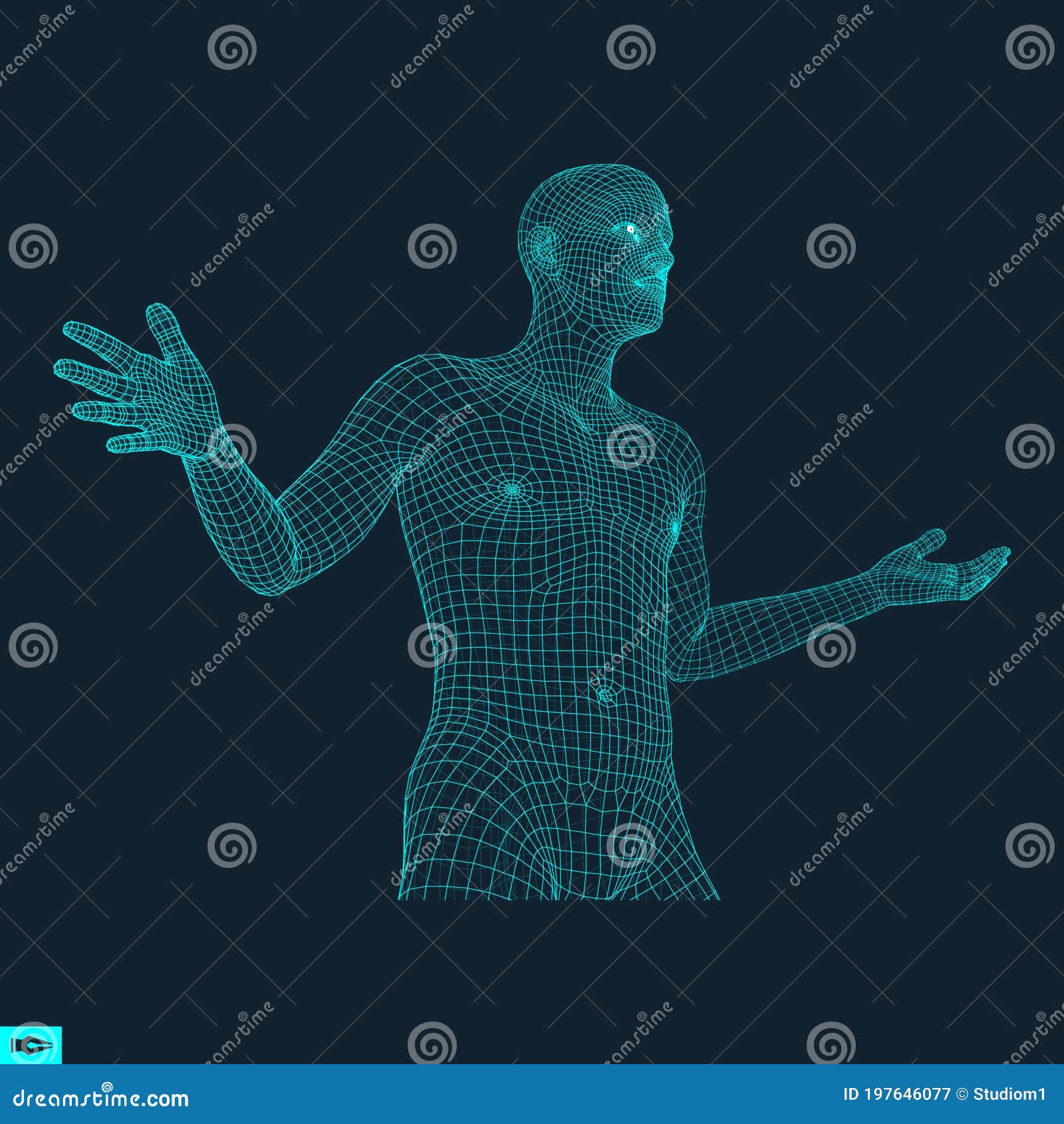 3D Model of Man. Human Body Wire Model. Design Element Stock Vector ...