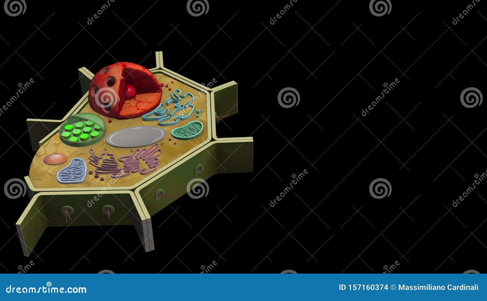 Plant-cell Rotation is Positioned on the Left Stock Footage - Video of ...