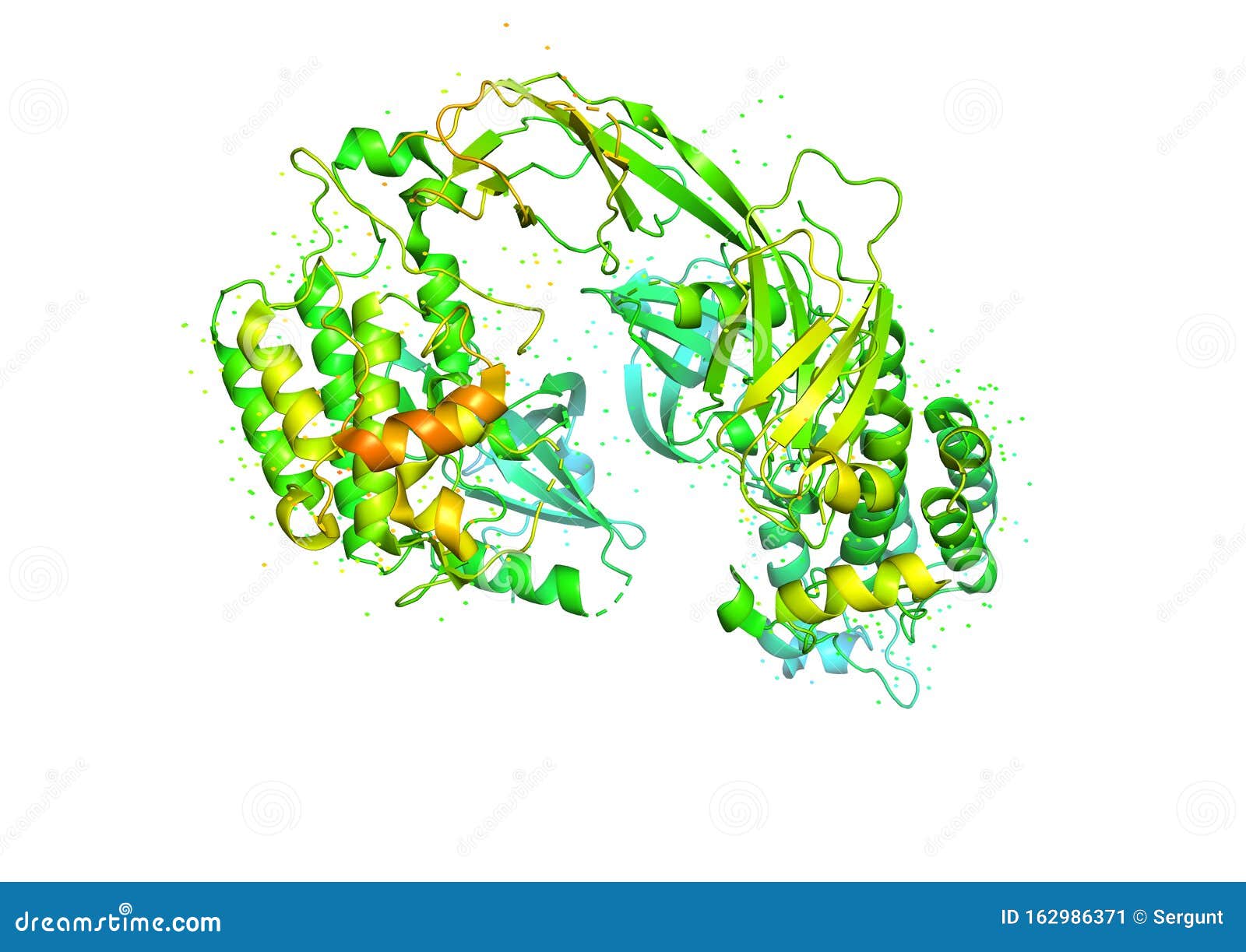 3D Model Of A Protein Molecule Stock Image | CartoonDealer.com #162987463 3D Model Of A Protein Molecule Stock Image | CartoonDealer.com #162987463