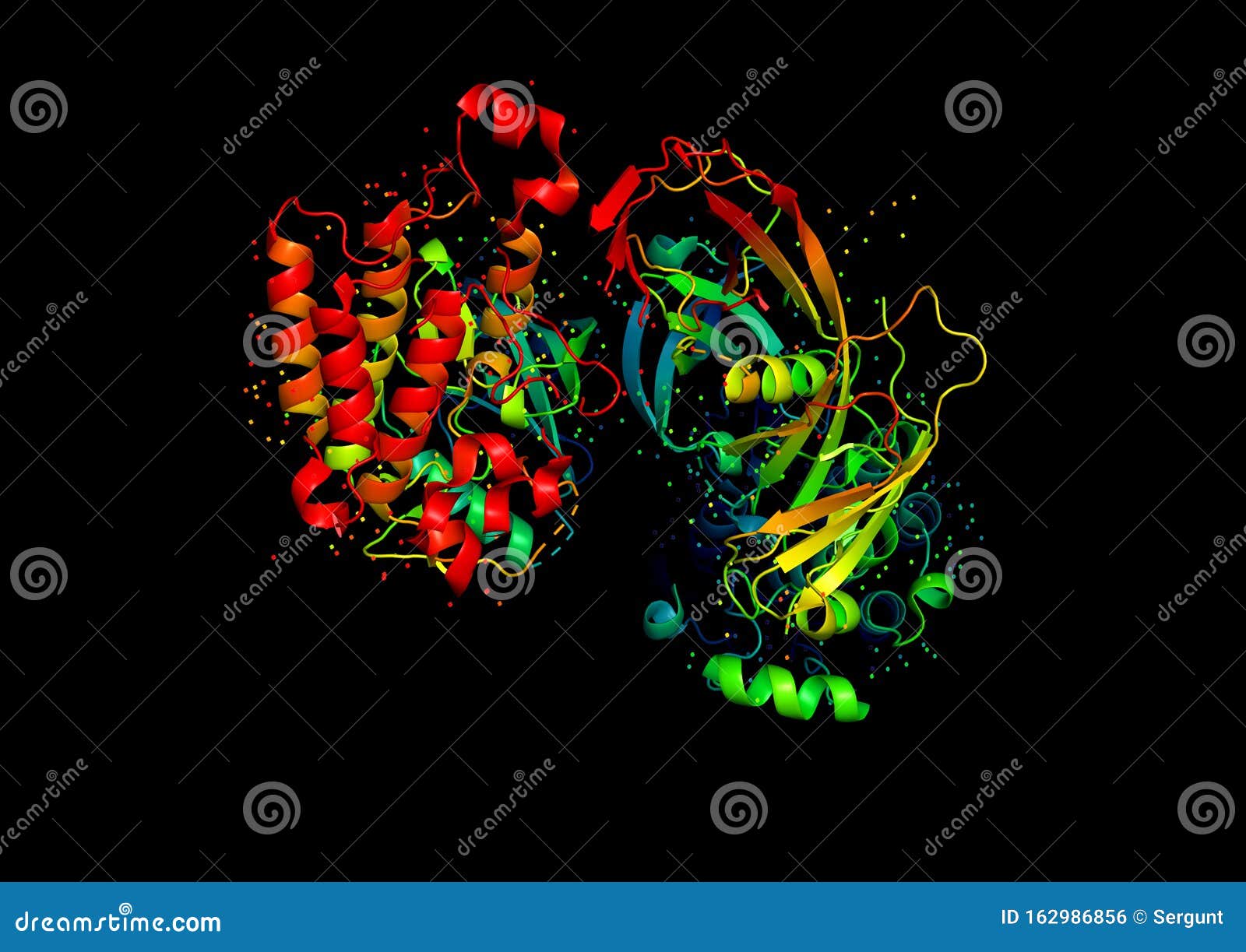 3D Model Of A Protein Molecule Stock Photo | CartoonDealer.com #162986856 3D Model Of A Protein Molecule Stock Photo | CartoonDealer.com #162986856