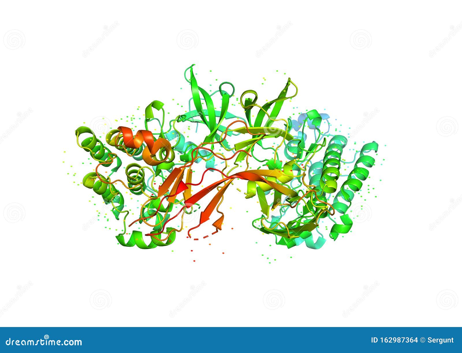 3D Model Of A Protein Molecule Royalty-Free Stock Image | CartoonDealer ... 3D Model Of A Protein Molecule Royalty-Free Stock Image | CartoonDealer ...