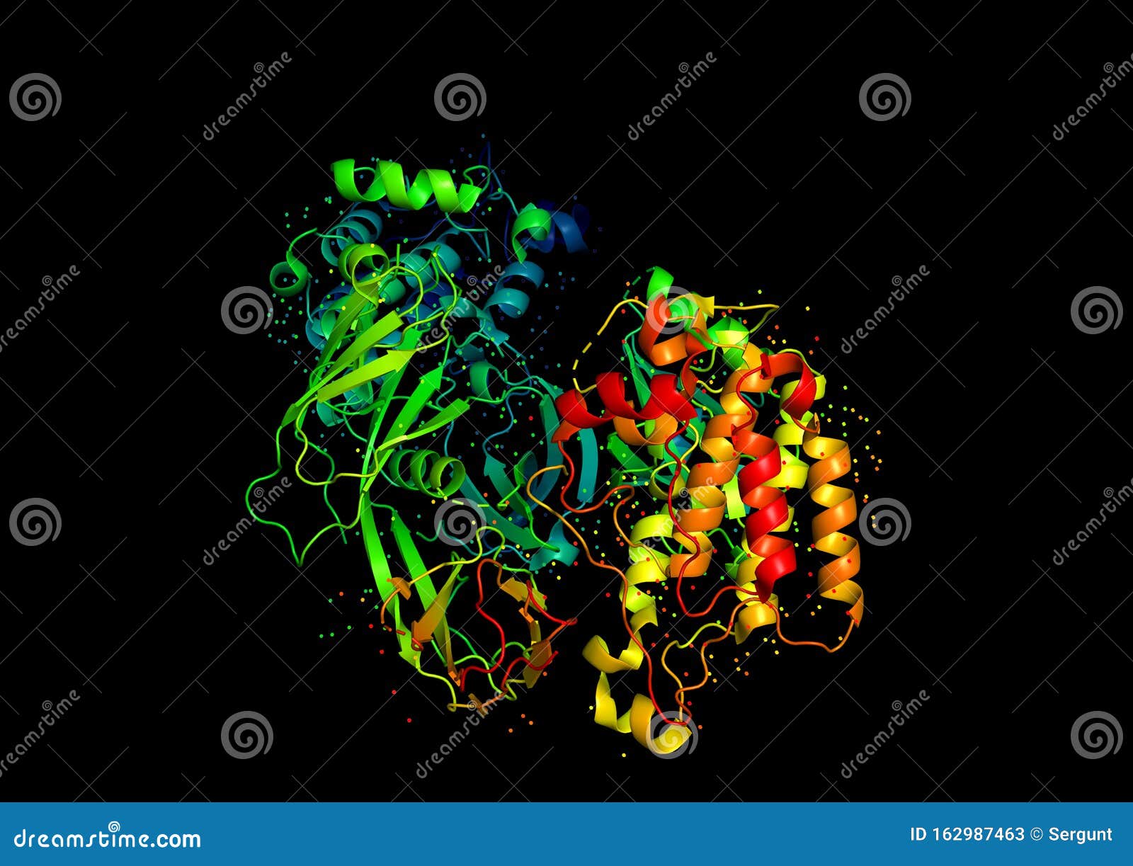 3D Model Of A Protein Molecule. Stock Photography | CartoonDealer.com ... 3D Model Of A Protein Molecule. Stock Photography | CartoonDealer.com ...