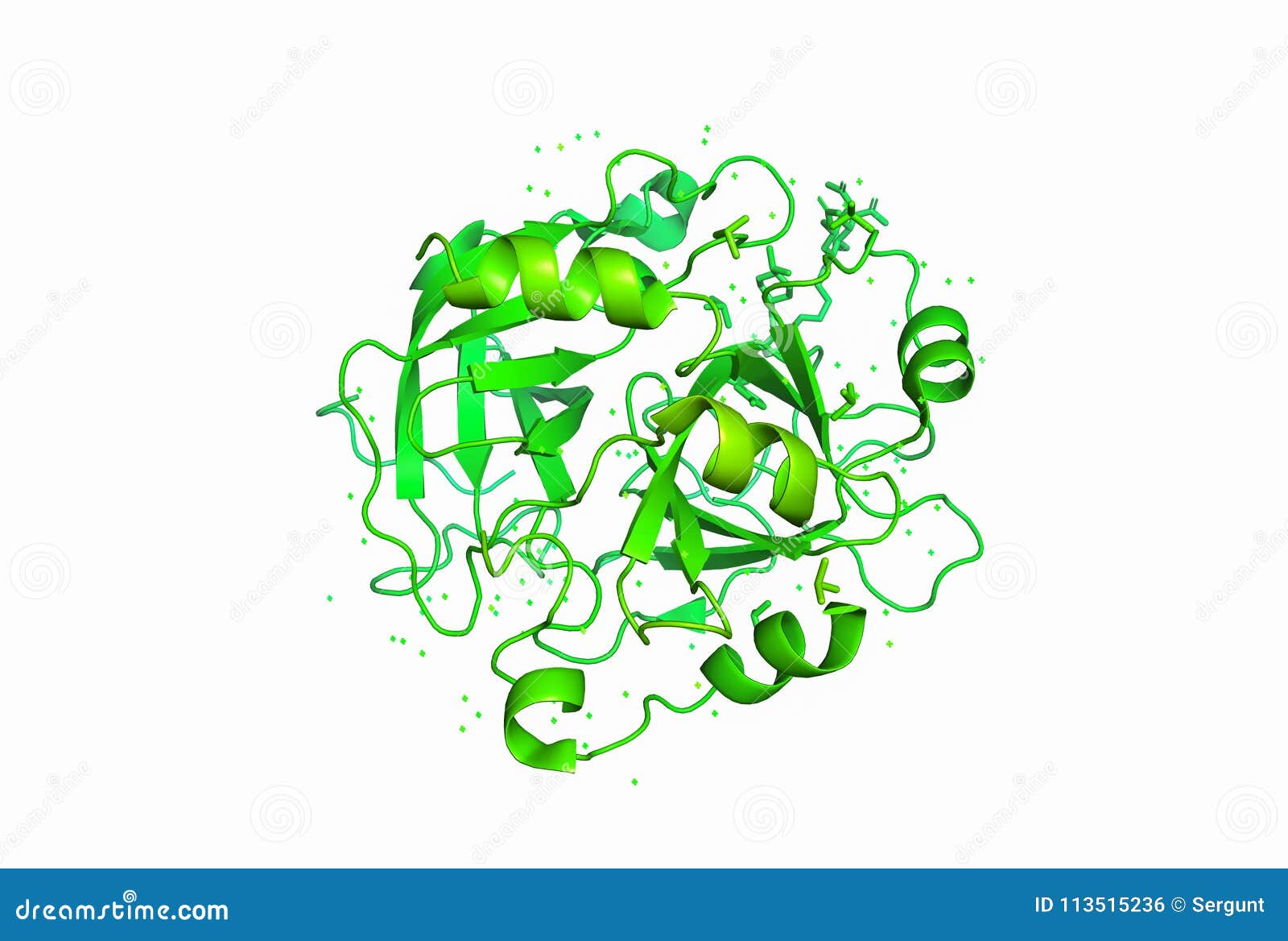 3D Model Of A Protein Molecule Stock Photo | CartoonDealer.com #162986856 3D Model Of A Protein Molecule Stock Photo | CartoonDealer.com #162986856