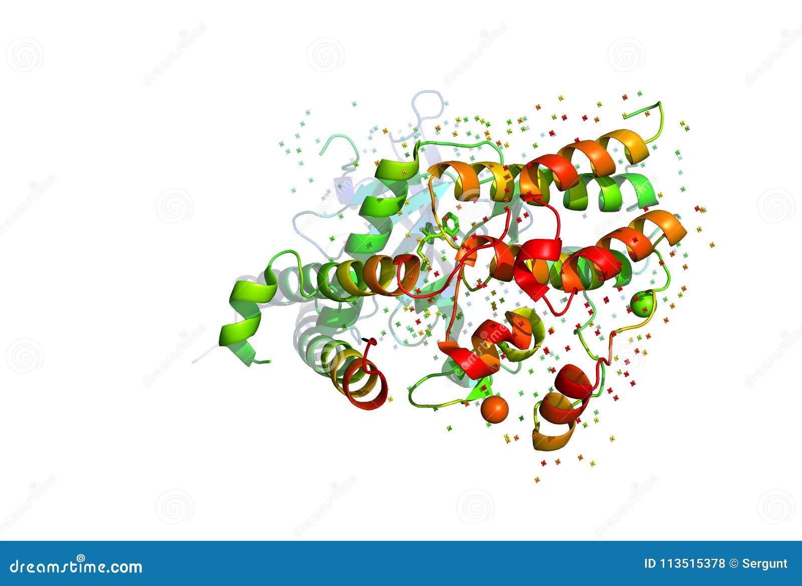 3D Model Of A Protein Molecule Royalty-Free Stock Image | CartoonDealer ... 3D Model Of A Protein Molecule Royalty-Free Stock Image | CartoonDealer ...