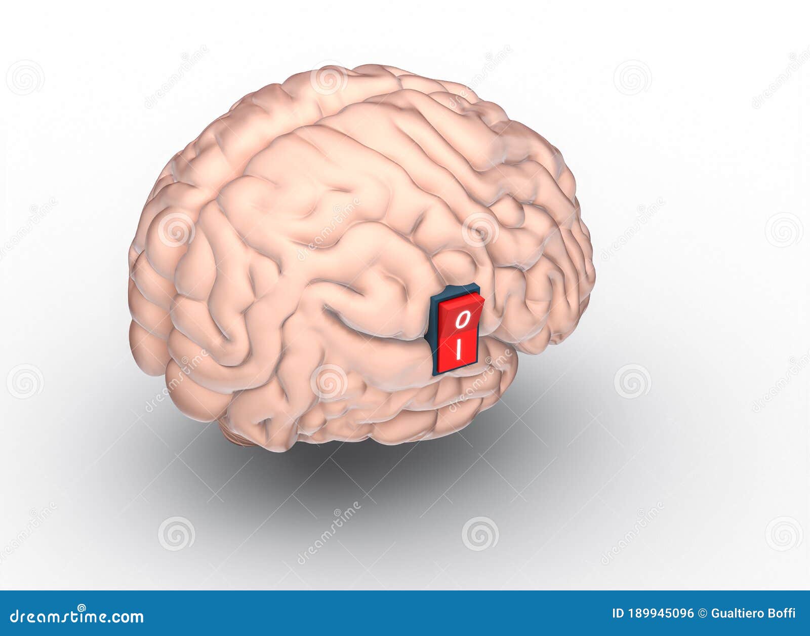 3d Model Render of a Human Brain with Switch Stock Illustration ...