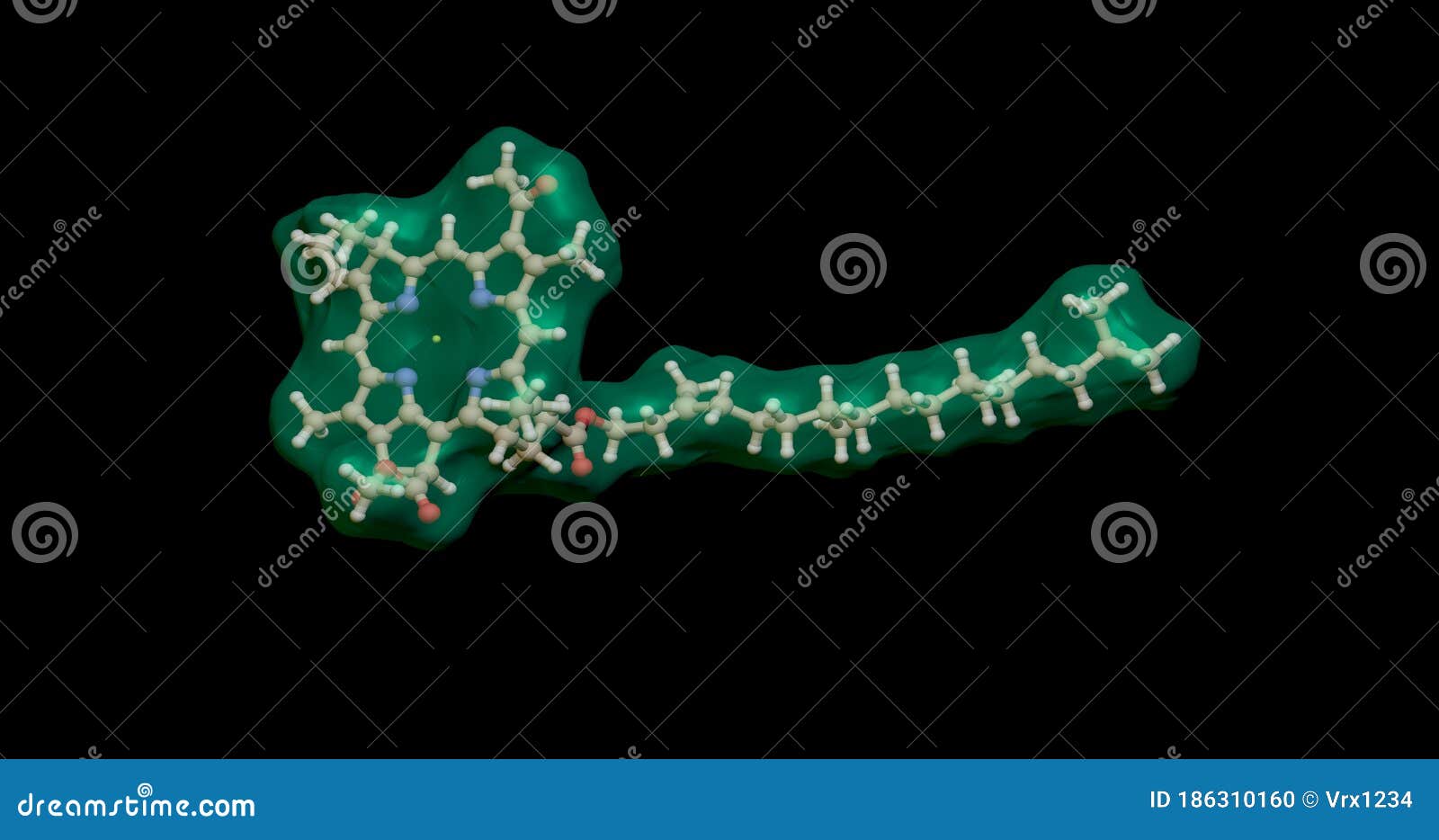 Chlorophyll Molecule Transparent Surface and Ball and Stick Model . 3d ...