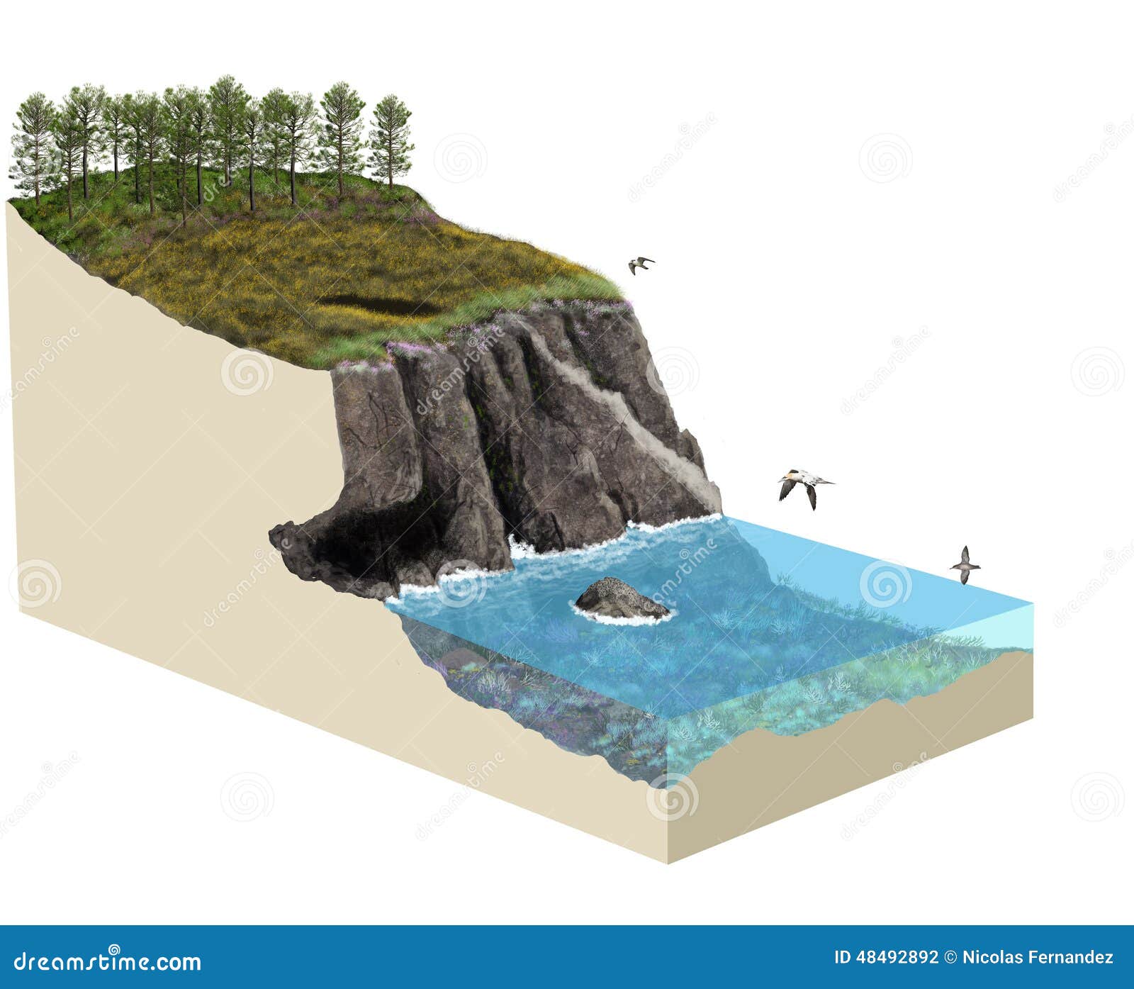 3d Model Terrain Cliff Ecosystem Stock Illustration - Illustration of ...