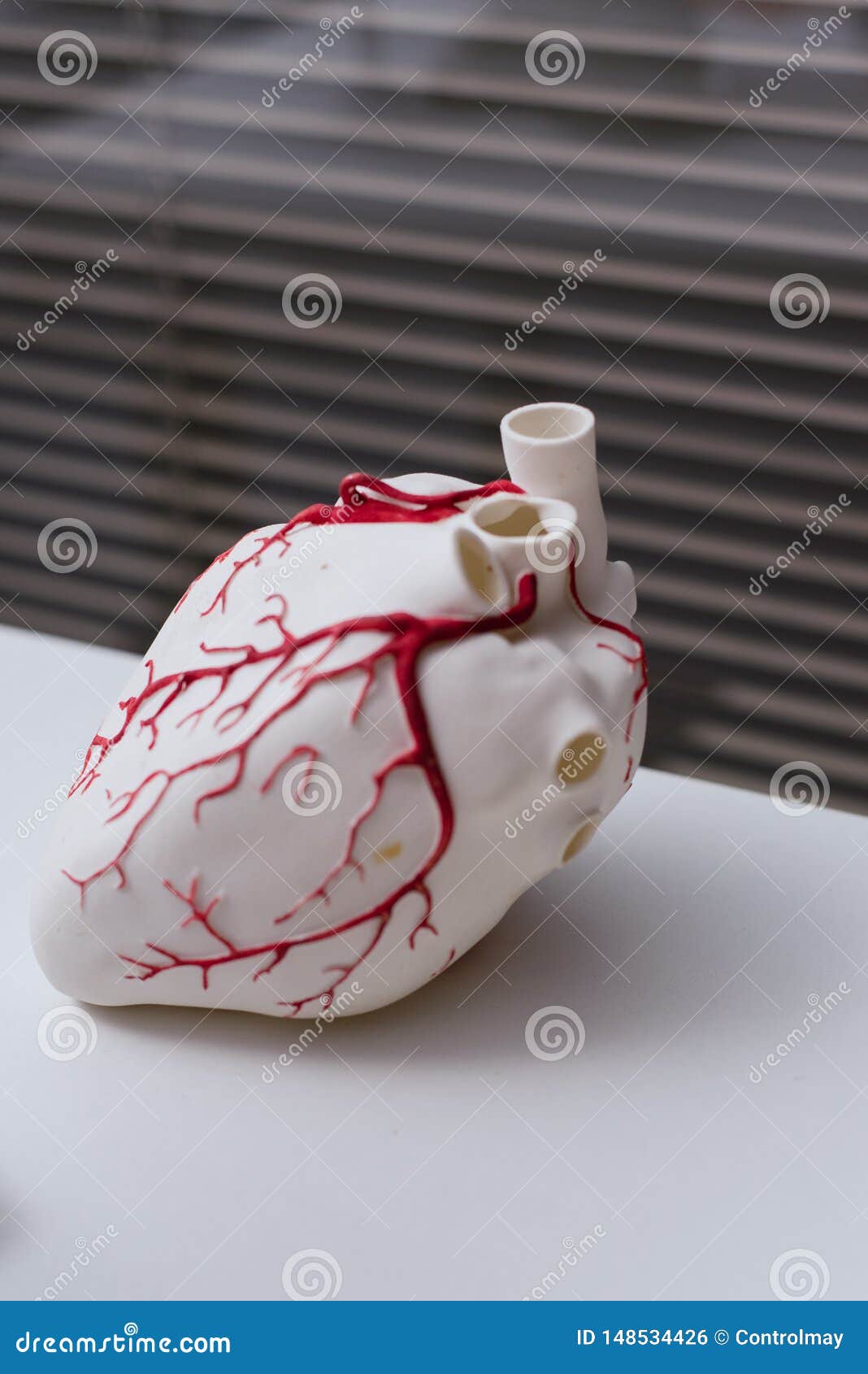 3d Models of Organs. Printed on a 3D Printer Heart. Stock Photo - Image ...