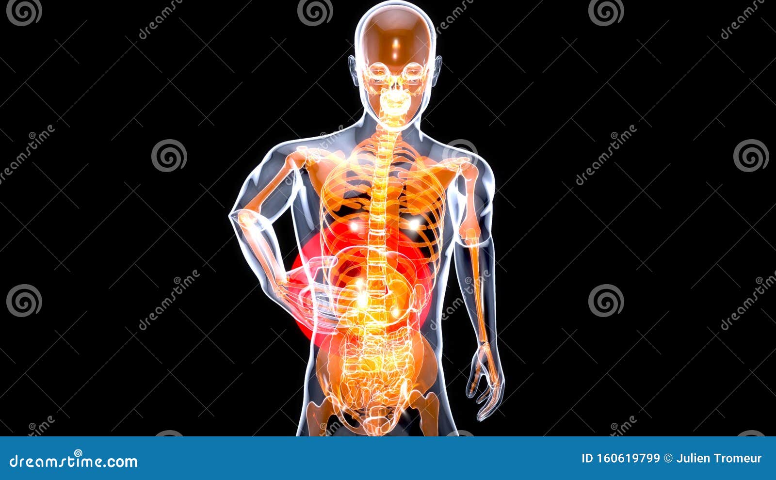 Biometric Liver Monitoring Interface On A Tablet Showing Live Data Next ...