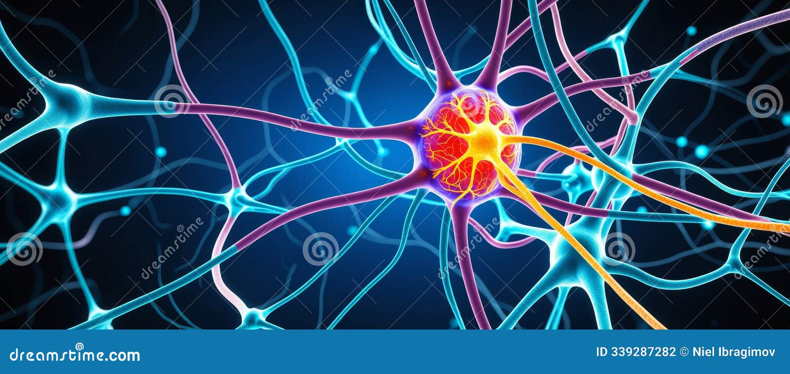 Neuron And Synapse Structure Stock Photo | CartoonDealer.com #310396140