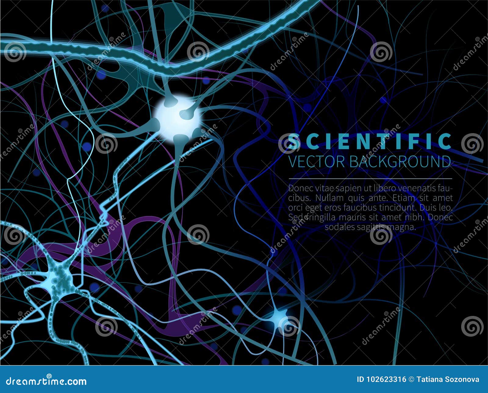 Model of neural system stock illustration. Illustration of black ...