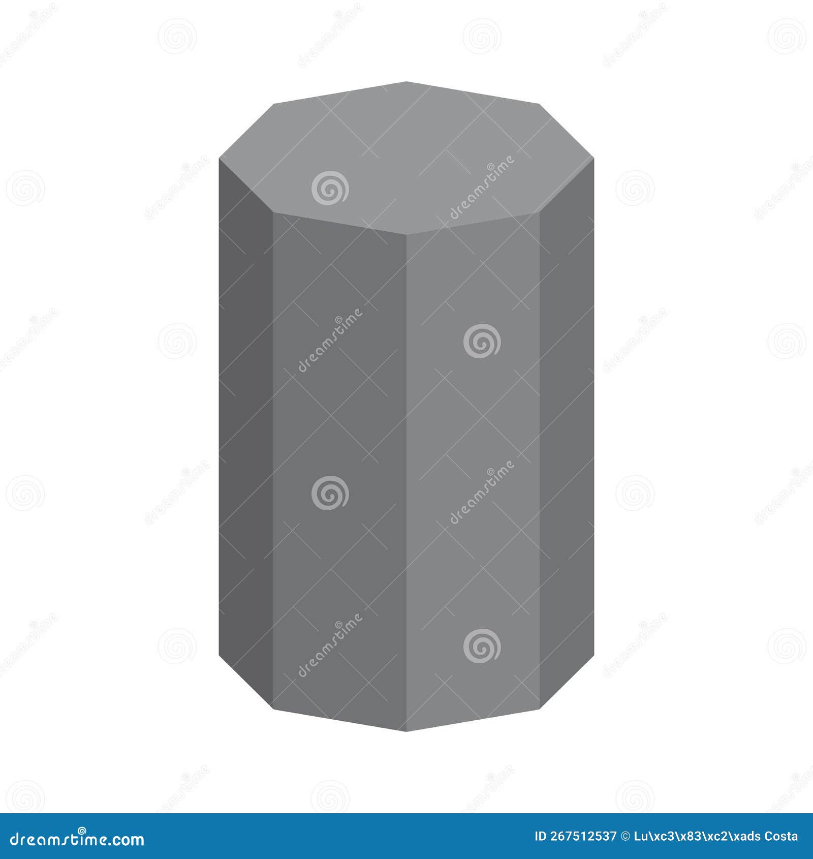 Octagonal Prism Mathematical Figure. Black And White Isometric 3d ...