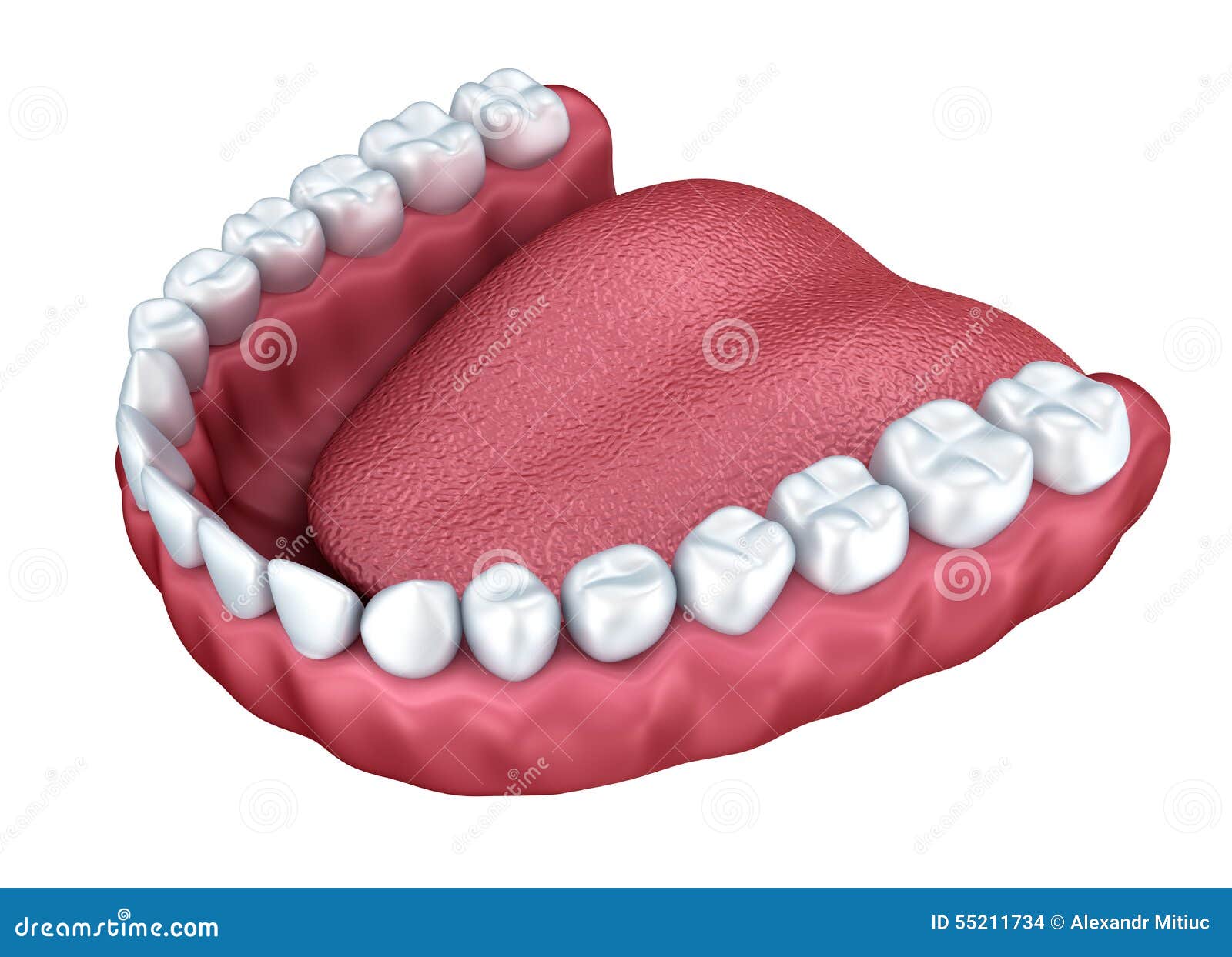 3d open gebit stock illustratie. Illustration of kies - 55211734