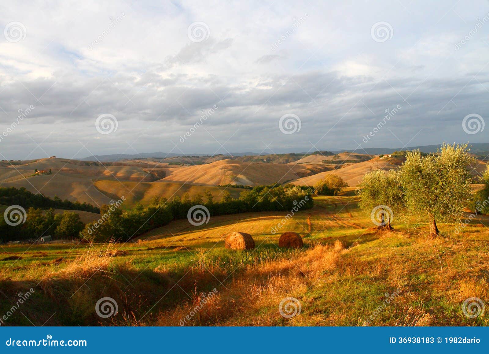 D'Orcia De Val Durante O Por Do Sol Imagem de Stock - Imagem de ...