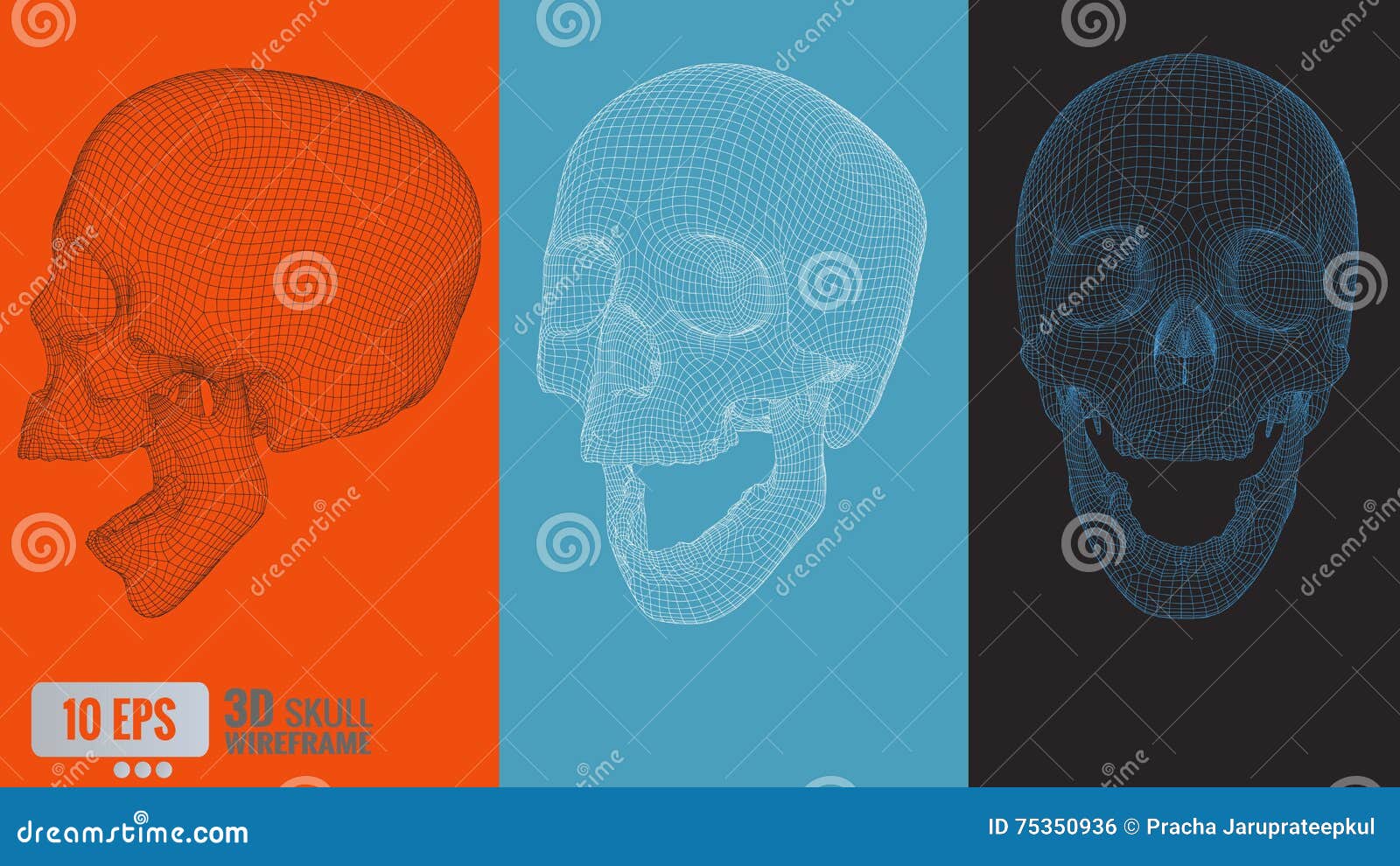 3D Polygonal Vector Wireframe Graphic Skull in Various View Stock ...