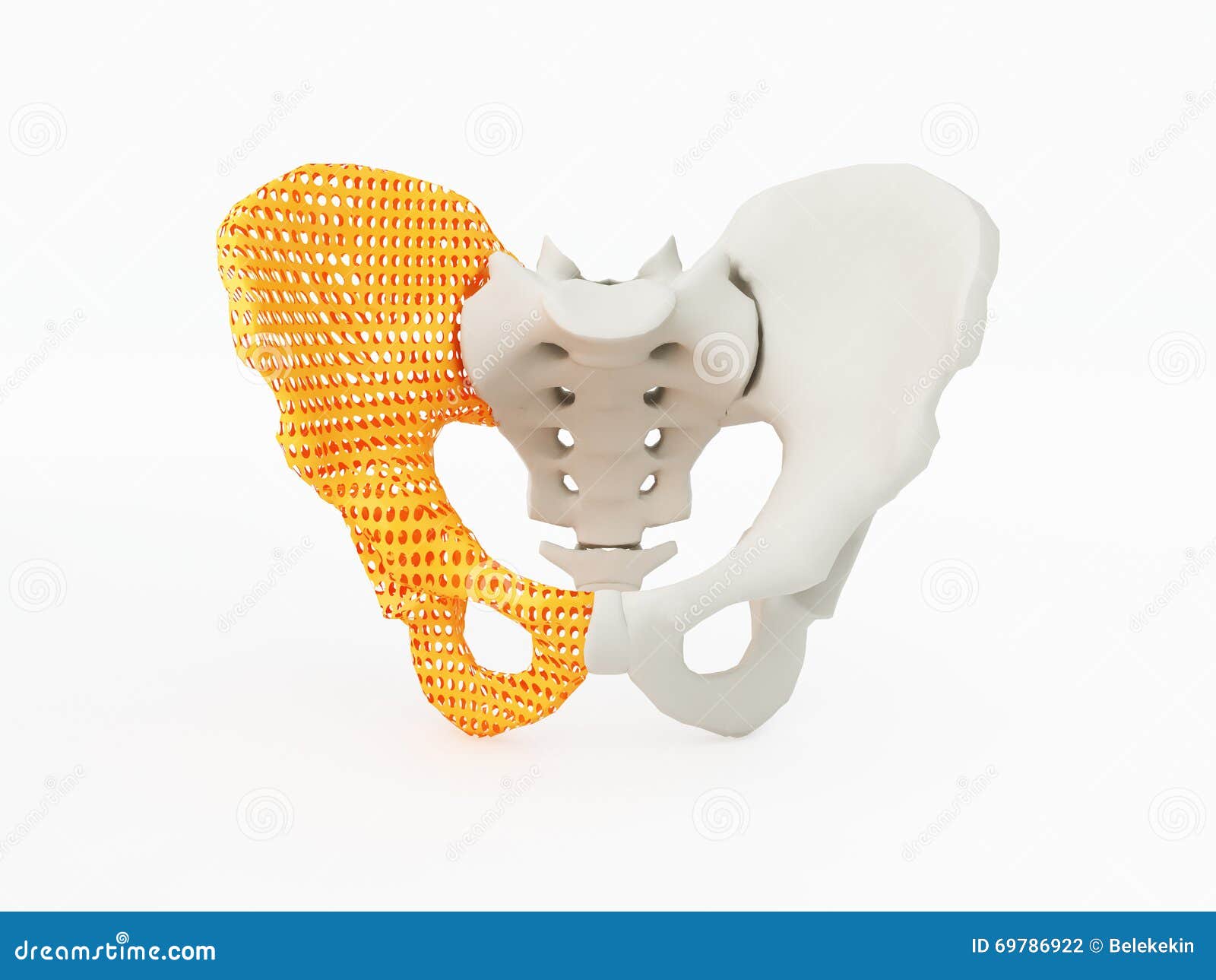 3d Printed Hip Bone Royalty-Free Stock Image | CartoonDealer.com #69786922