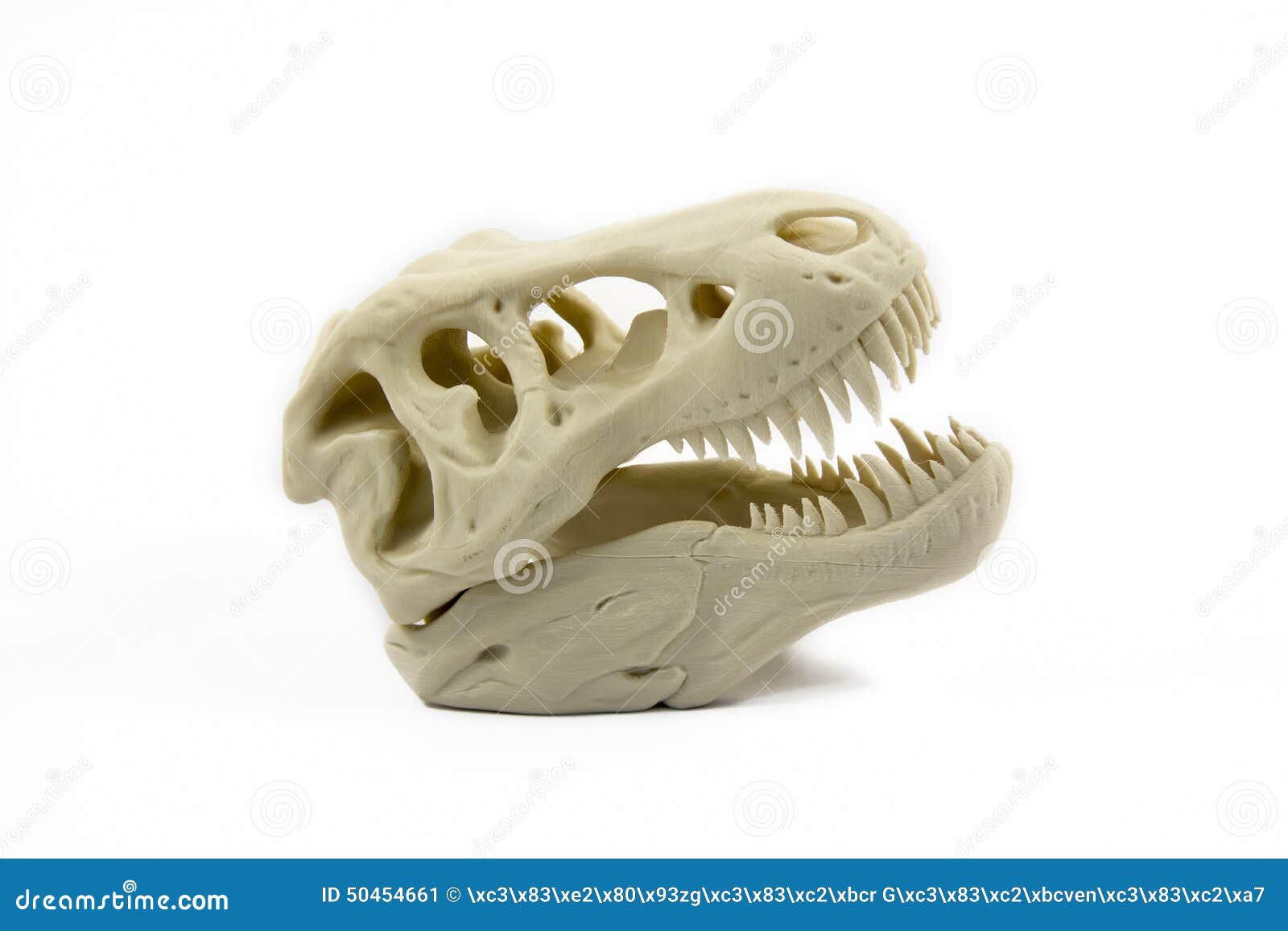 3D Printed Model of a Dinosaur Skull Stock Image - Image of model ... 3D Printed Model of a Dinosaur Skull Stock Image - Image of model ...