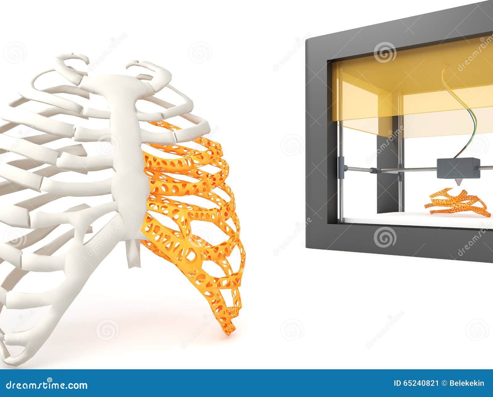 3d Printed Rib Cage Royalty-Free Stock Photo | CartoonDealer.com #69786981