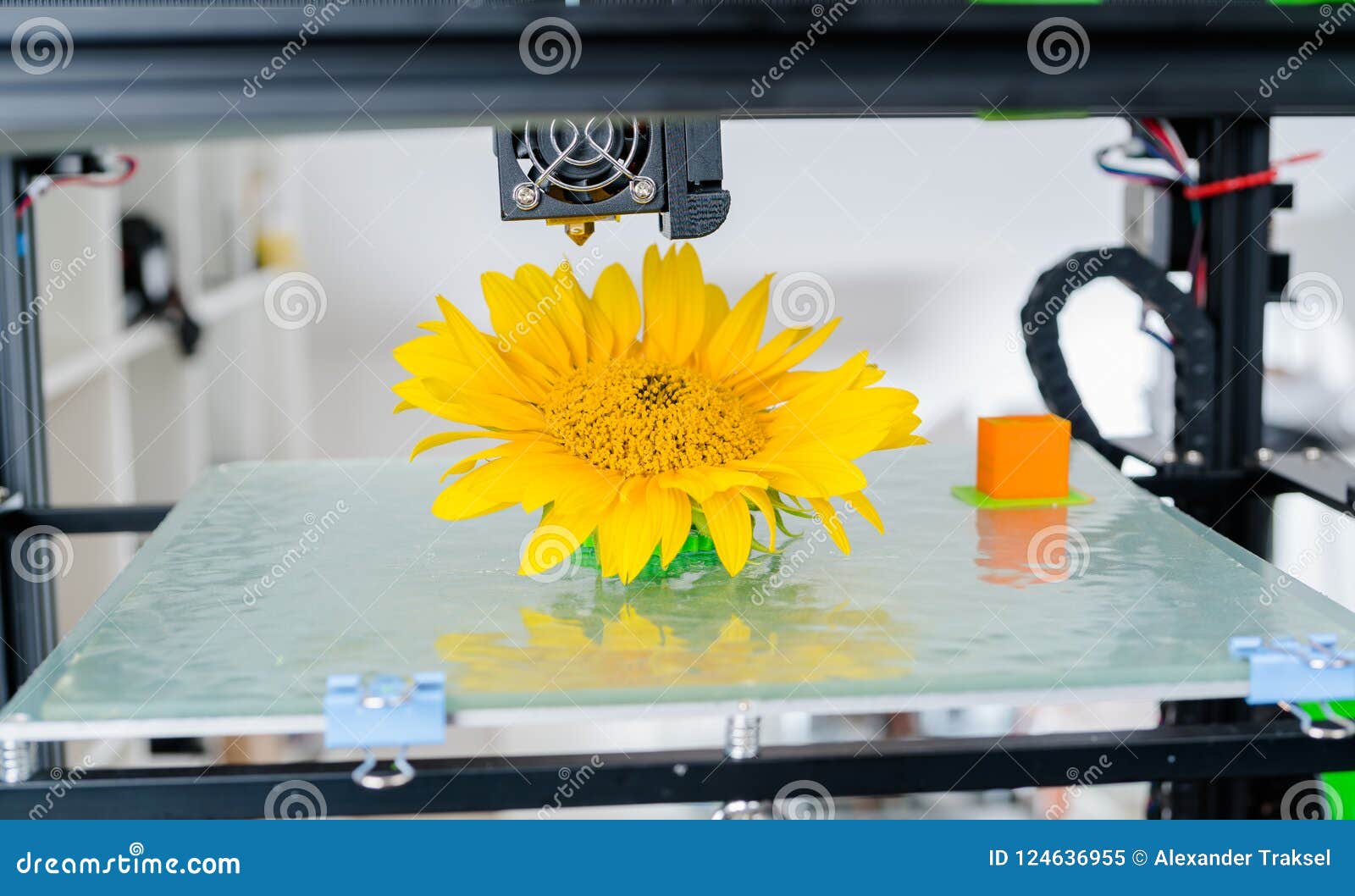 Modern 3D Printing. 3d Printer Mechanism Working during the Processes ...