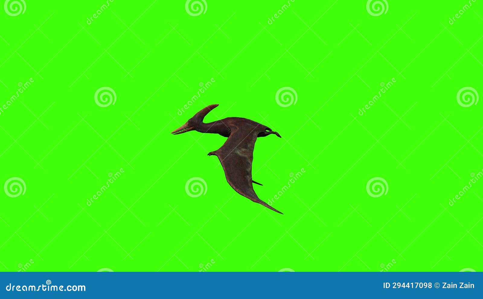 3D Pteranodon Pterosaur Flying Loop with Cycle View on Chroma Key. 4k ...