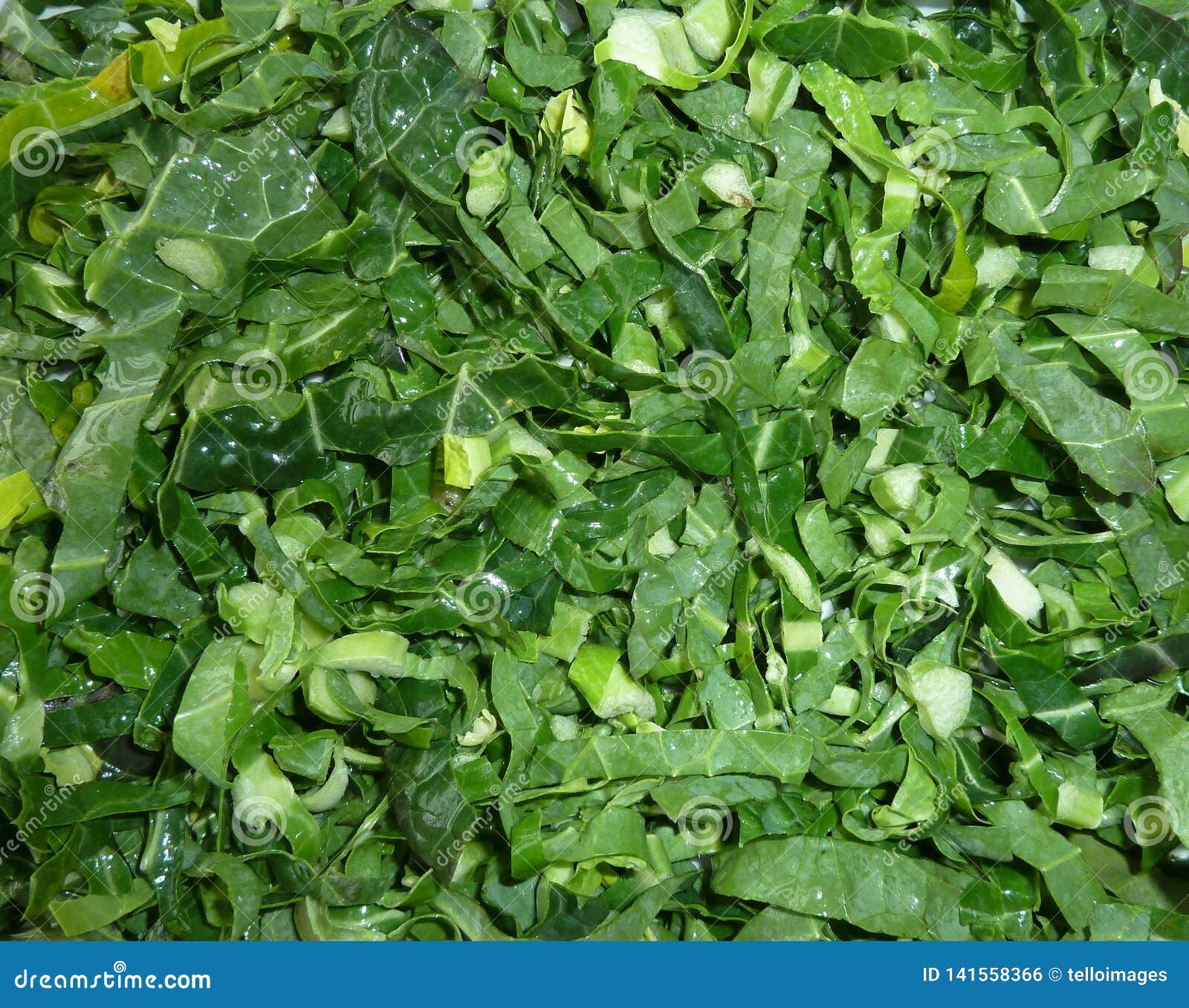 Sliced Fresh Spring Greens Cabbage Vegetable Stock Photo - Image of ...