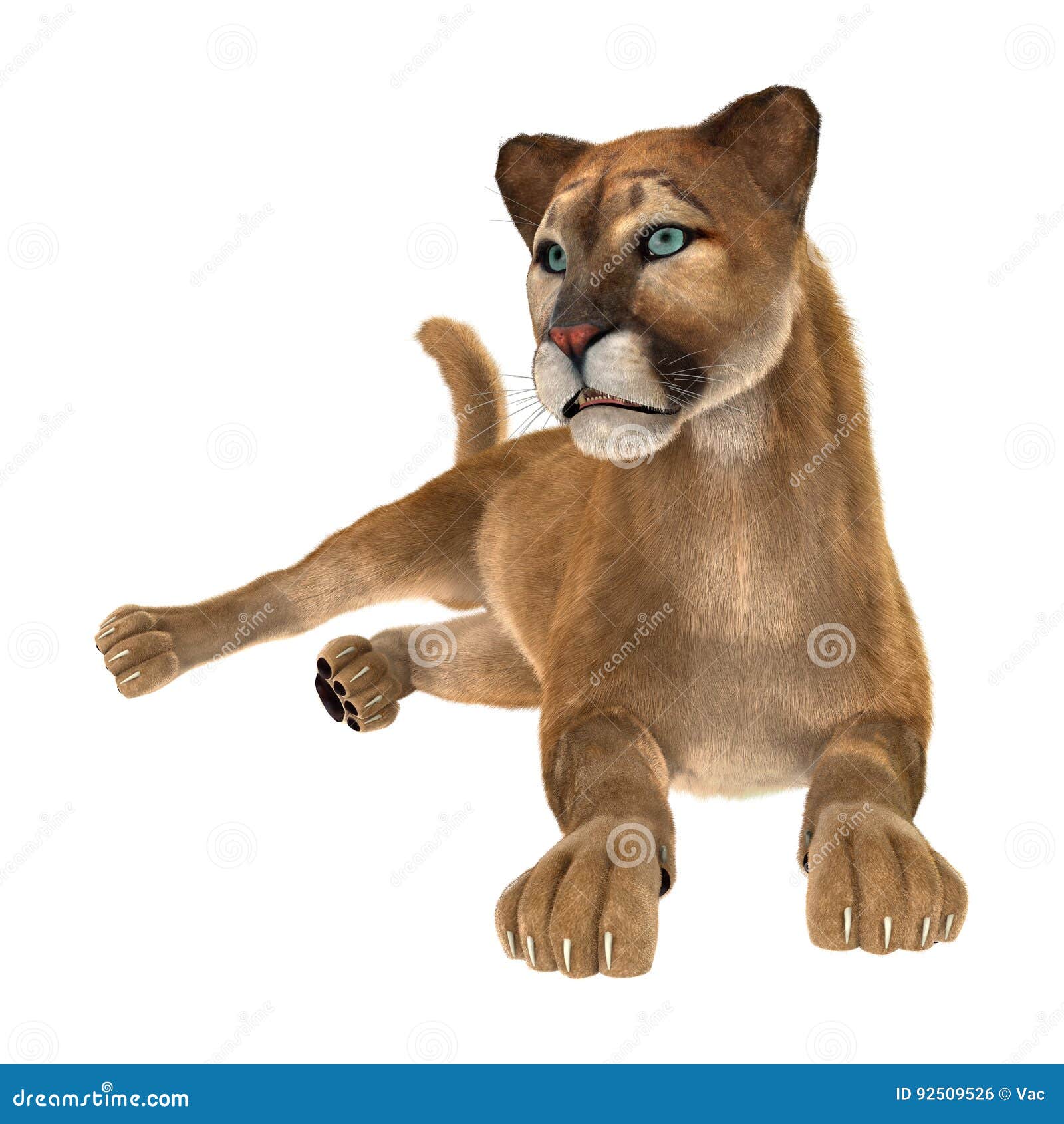 3D Que Rende Cat Puma Grande No Branco Ilustração Stock - Ilustração de ...