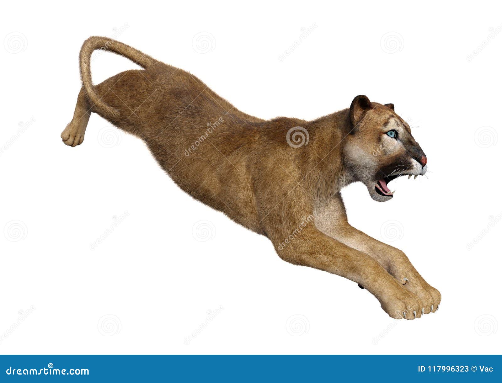 3D Que Rinde a Cat Puma Grande En Blanco Stock de ilustración ...