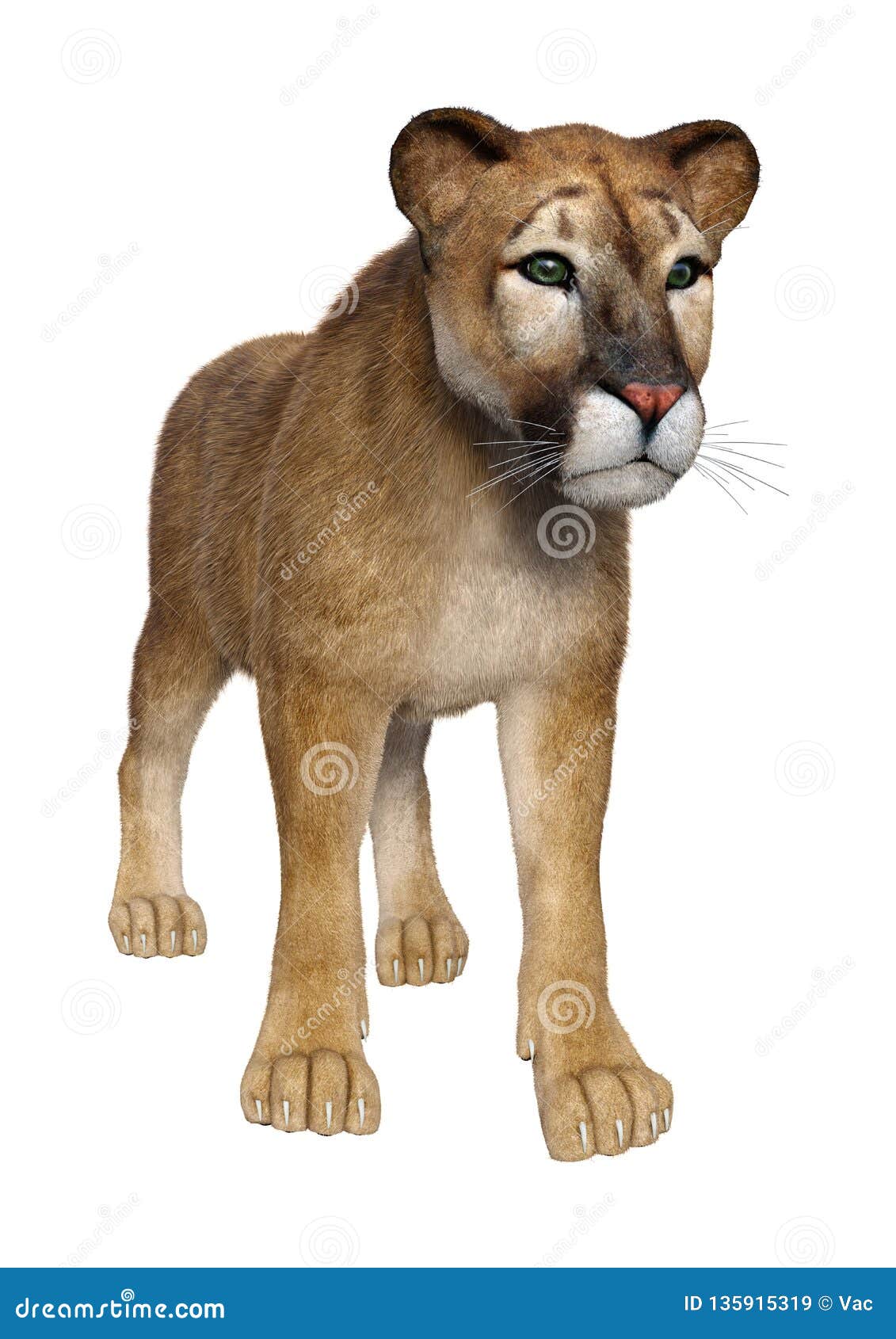 3D Que Rinde a Cat Puma Grande En Blanco Stock de ilustración ...