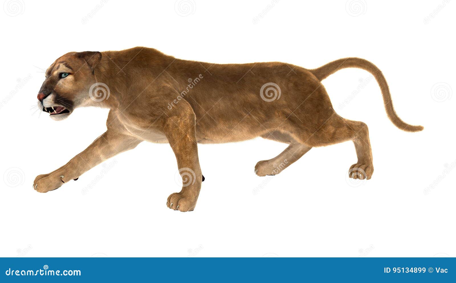 3D Que Rinde a Cat Puma Grande En Blanco Stock de ilustración ...