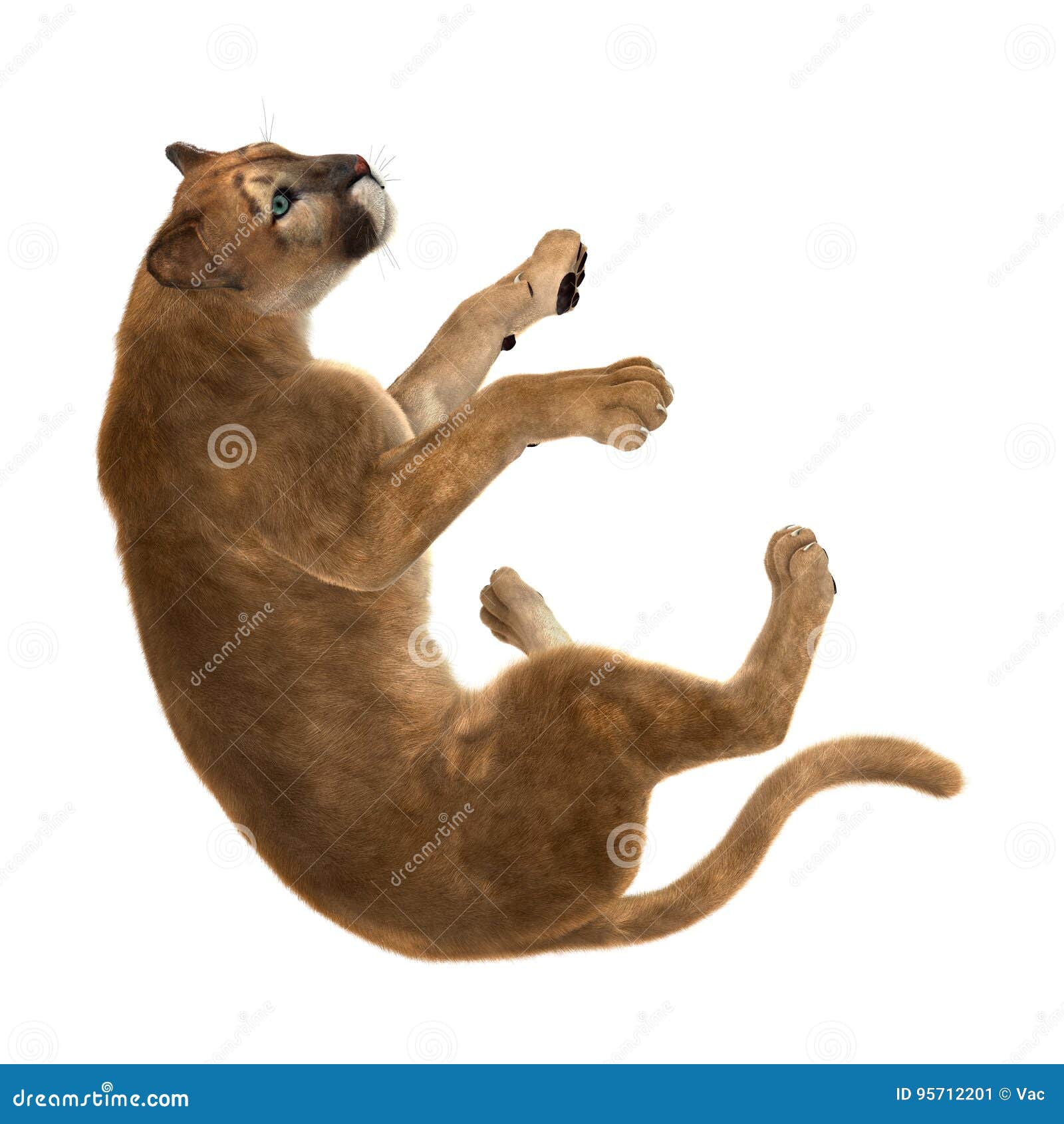 3D Que Rinde a Cat Puma Grande En Blanco Stock de ilustración ...