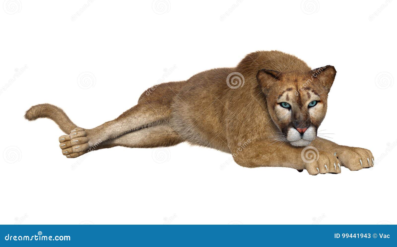 3D Que Rinde a Cat Puma Grande En Blanco Stock de ilustración ...