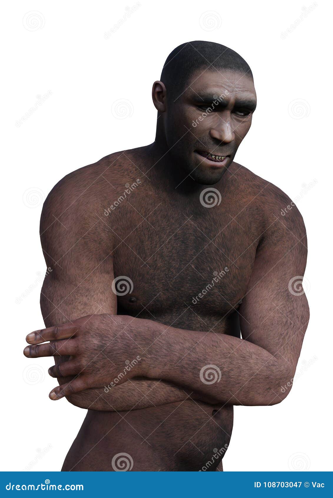 3D Que Rinde Homo Erectus En Blanco Stock de ilustración - Ilustración ...