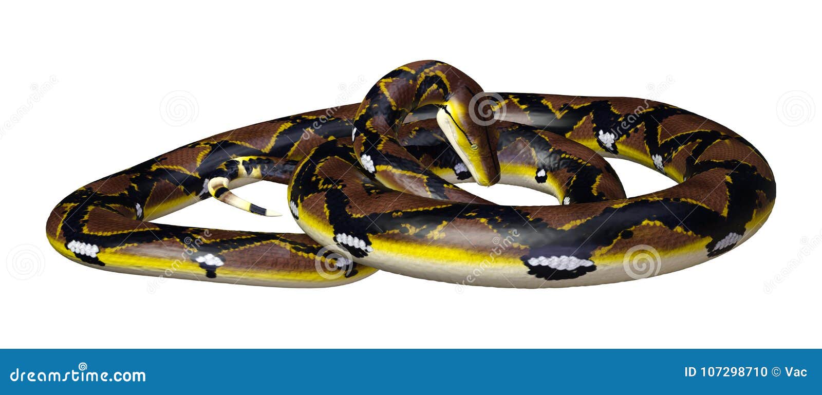 3D Que Rinde Python Reticulado En Blanco Stock de ilustración ...