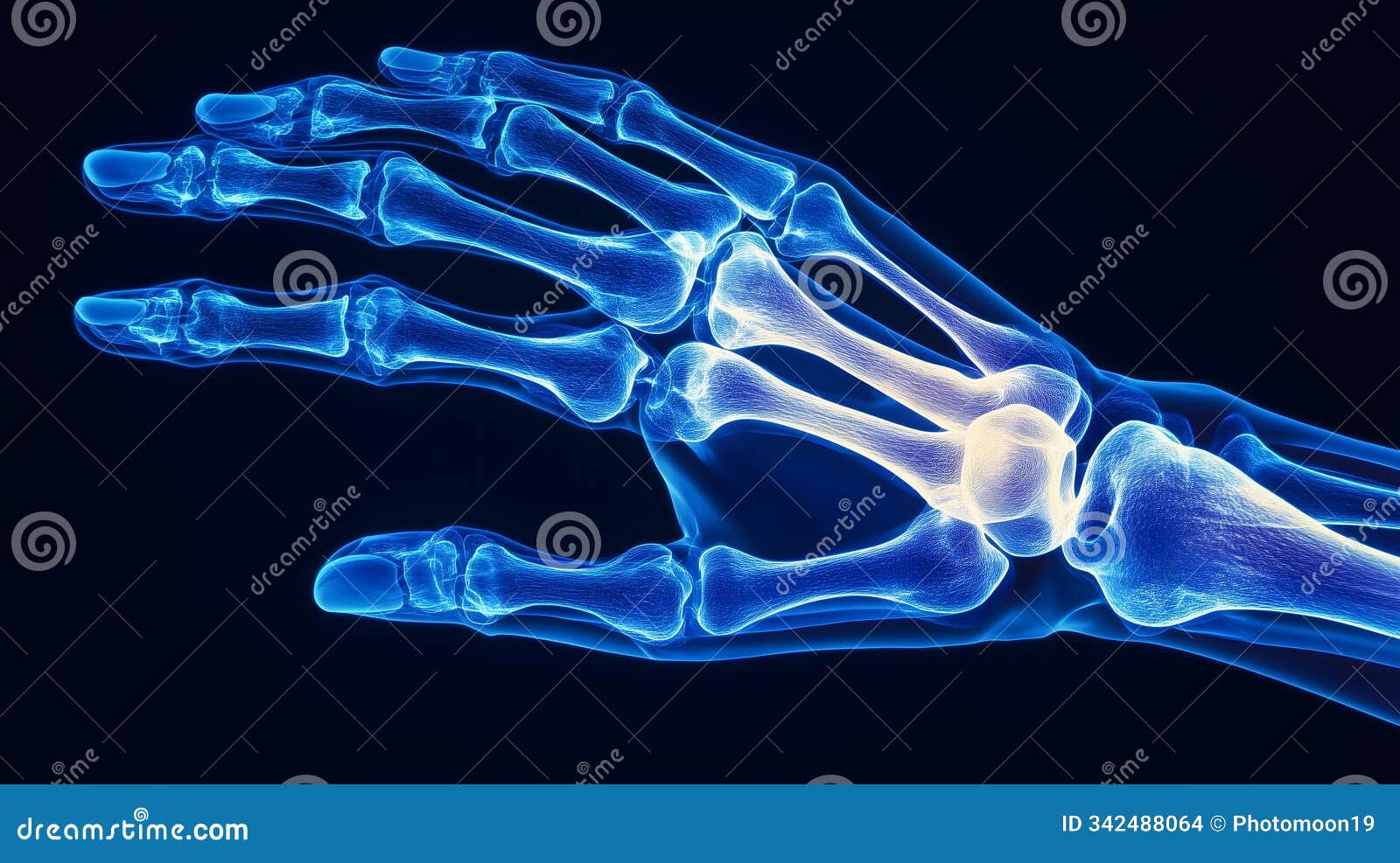 3D X-ray Illustration of Human Hand Bones Highlighted in Glowing Effect ...