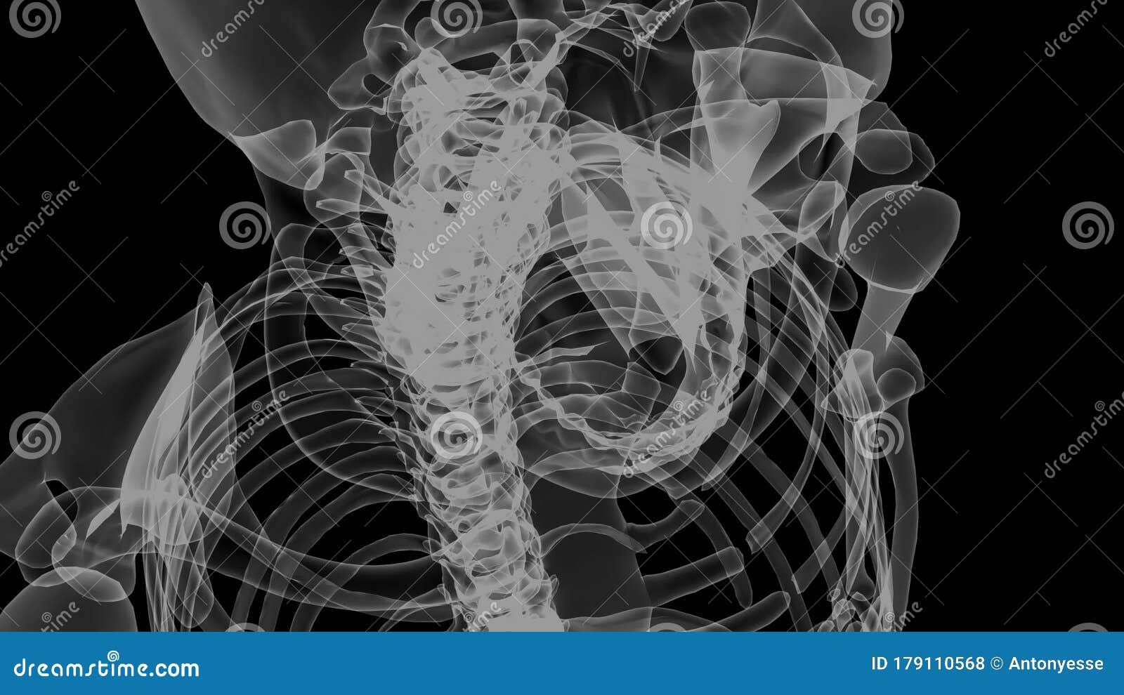 3D X-ray Sequence Scenes of Human Skeleton Stock Footage - Video of ...