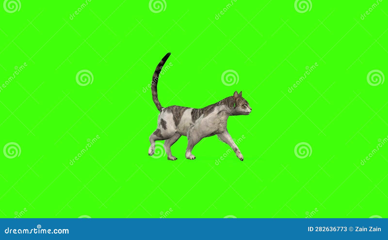 3D Realistic Cat on Green Screen Render Stock Video - Video of white ...