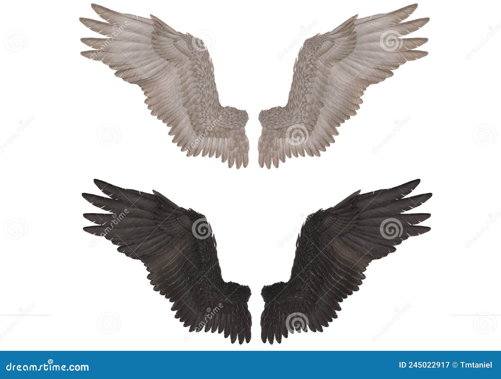 3D Realistic Isolated Angel Wings Pair of Falcon Wings, Wings Design ...