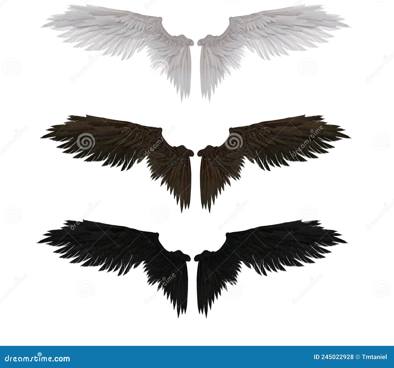 3D Realistic Isolated Angel Wings Pair of Falcon Wings, Wings Design ...