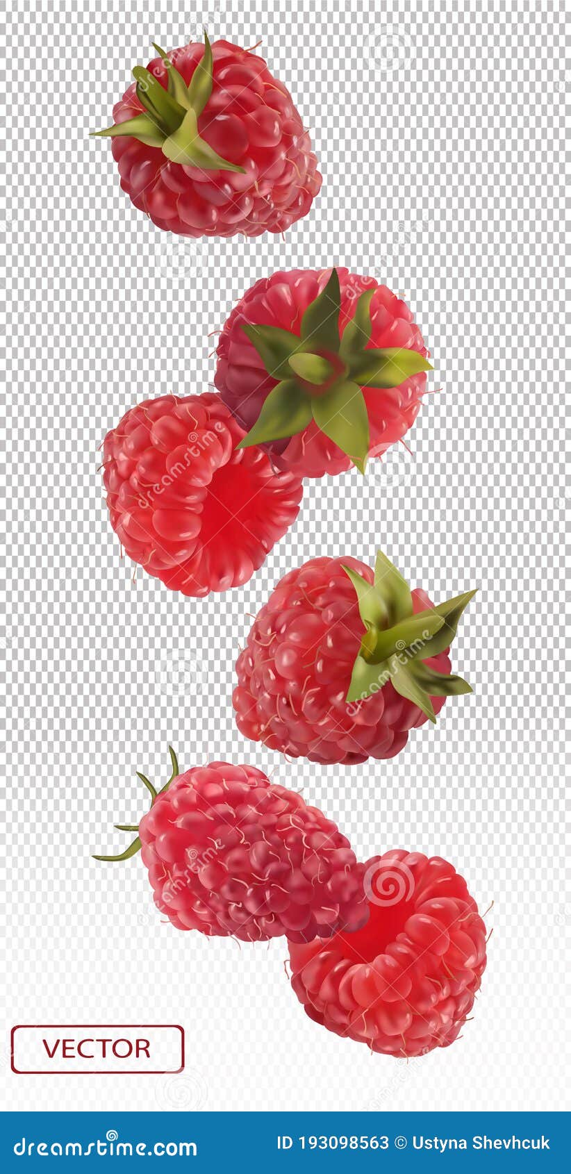 3D Realistic Raspberry on Transparent Background. Motion Raspberry from ...
