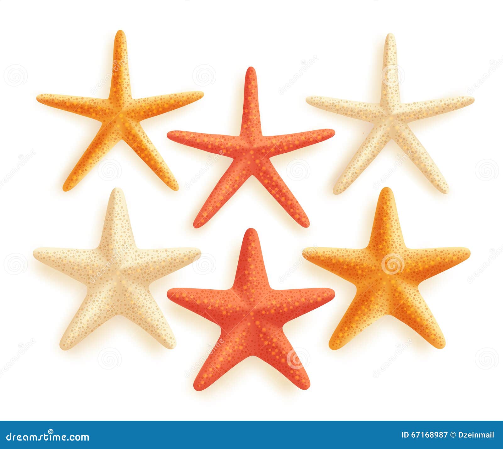 3D Realistic Set of Vector Starfish with Different Colors for Summer ...