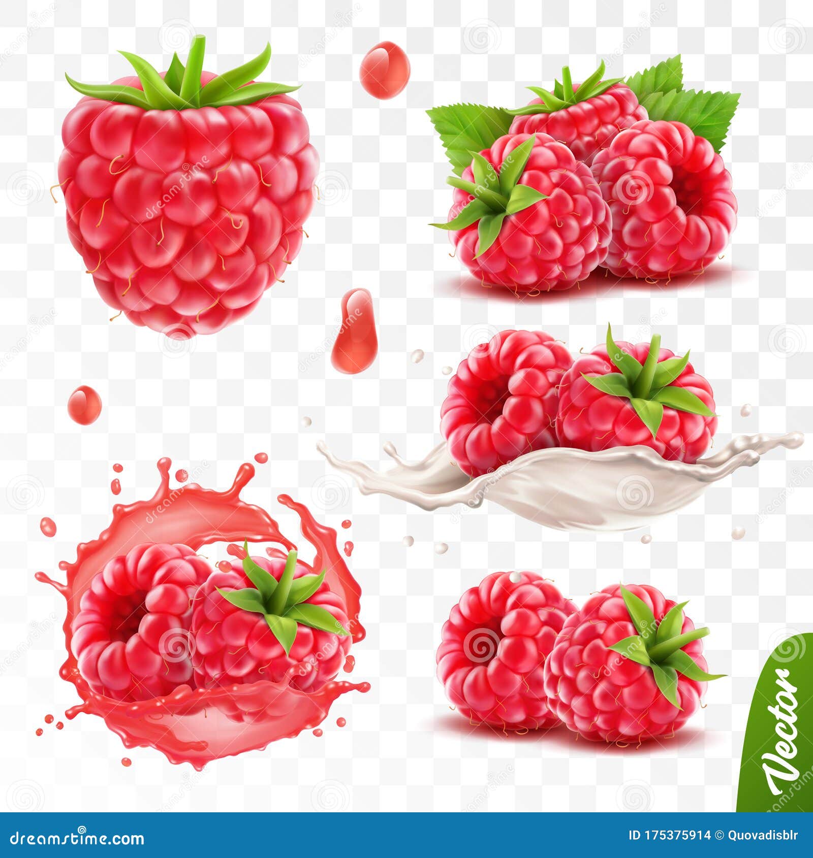 3d Realistic Transparent Isolated Vector Set, Whole and Slice of ...