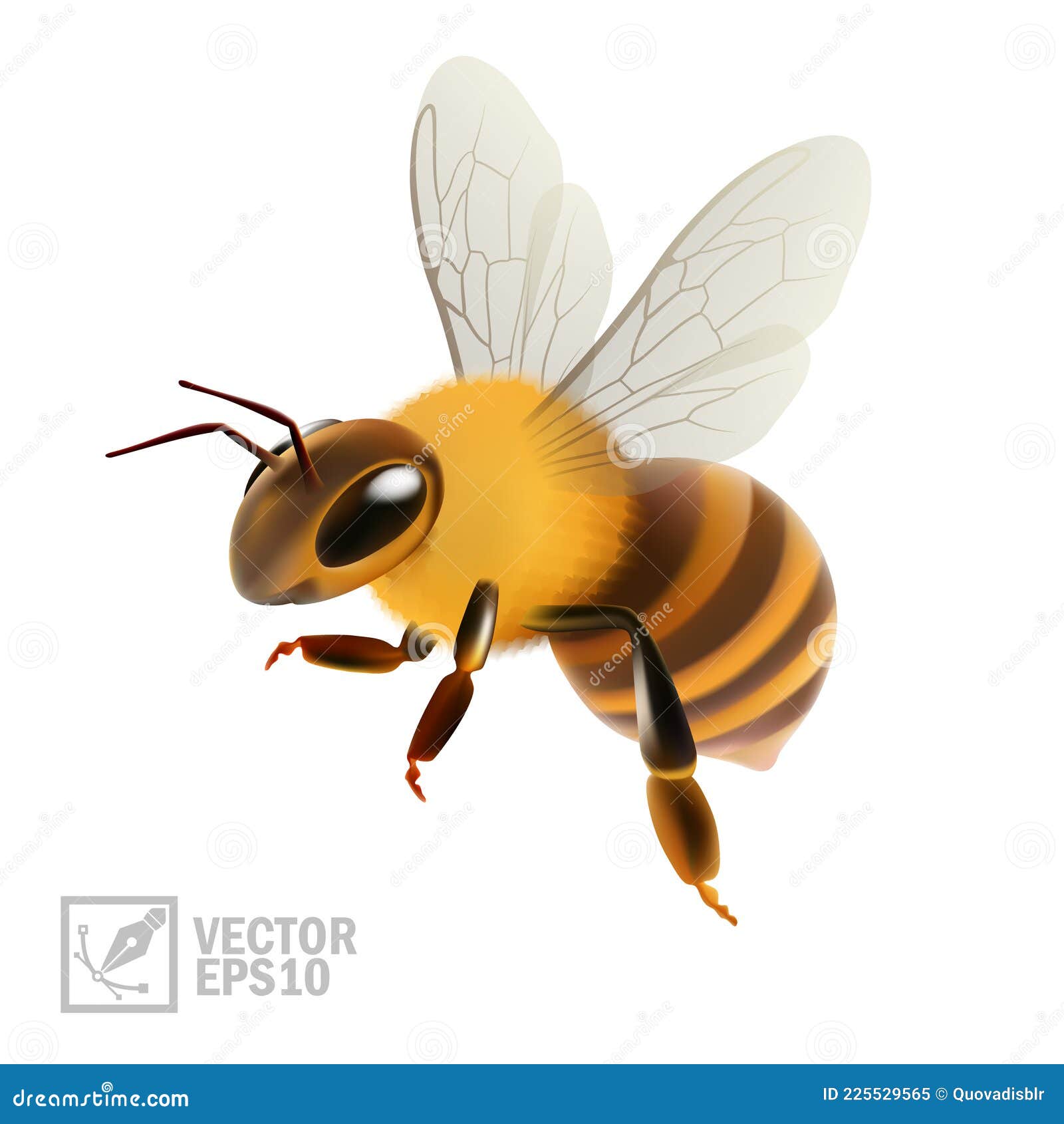 3d Realistic Vector Bee Cut Out on White Background Extracting Honey or ...