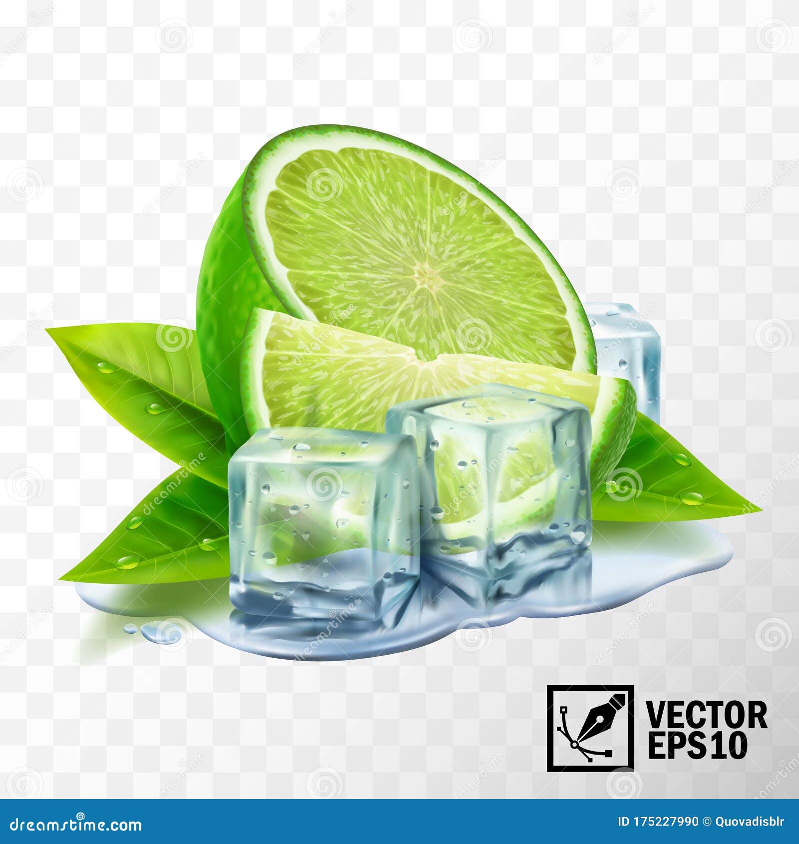 3D Realistic Vector Set of Elements Lime with Mint or Tea Leaves and ...