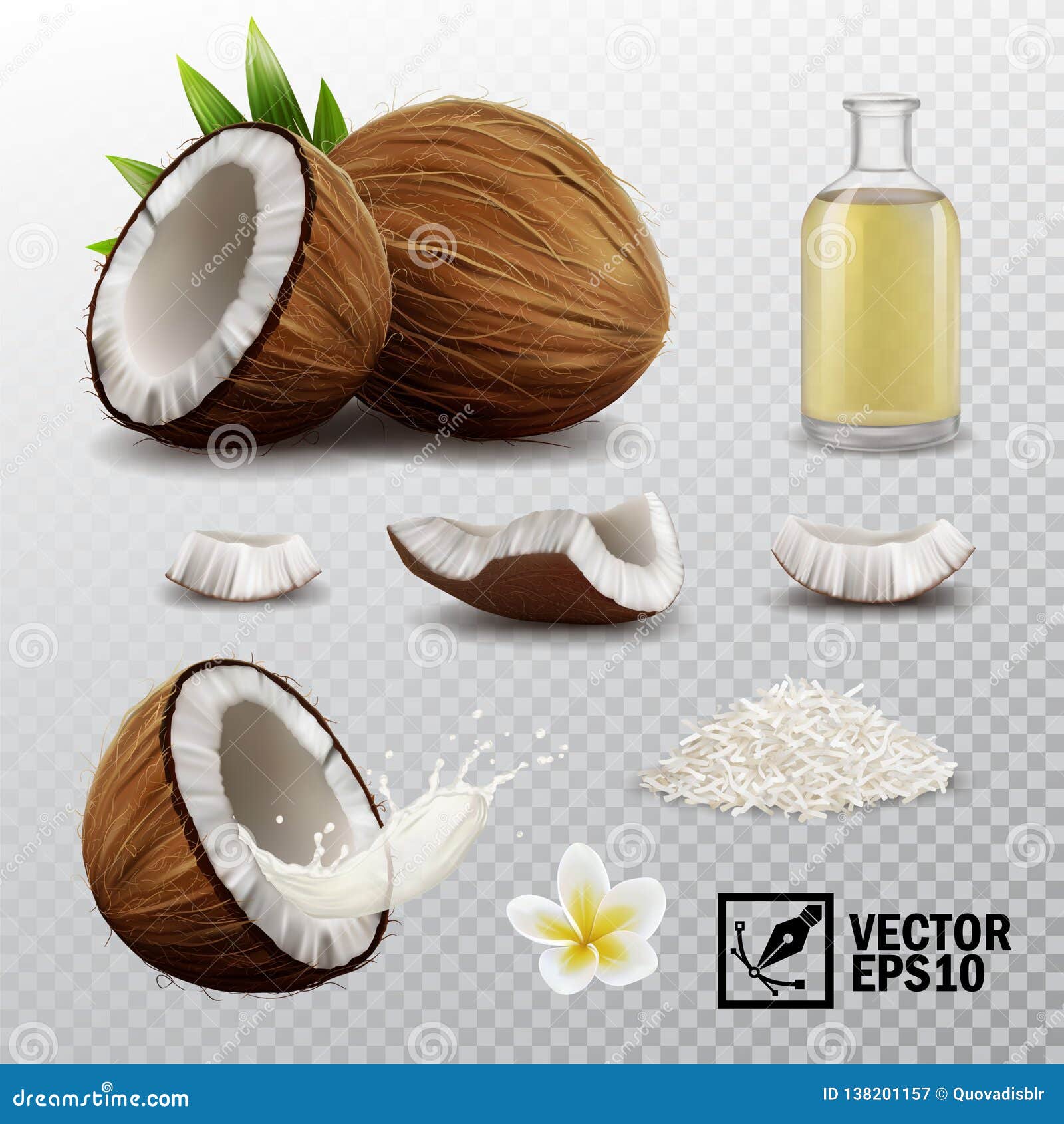 3d Realistic Vector Set Of Elements Whole Coconut, Half Coconut ...