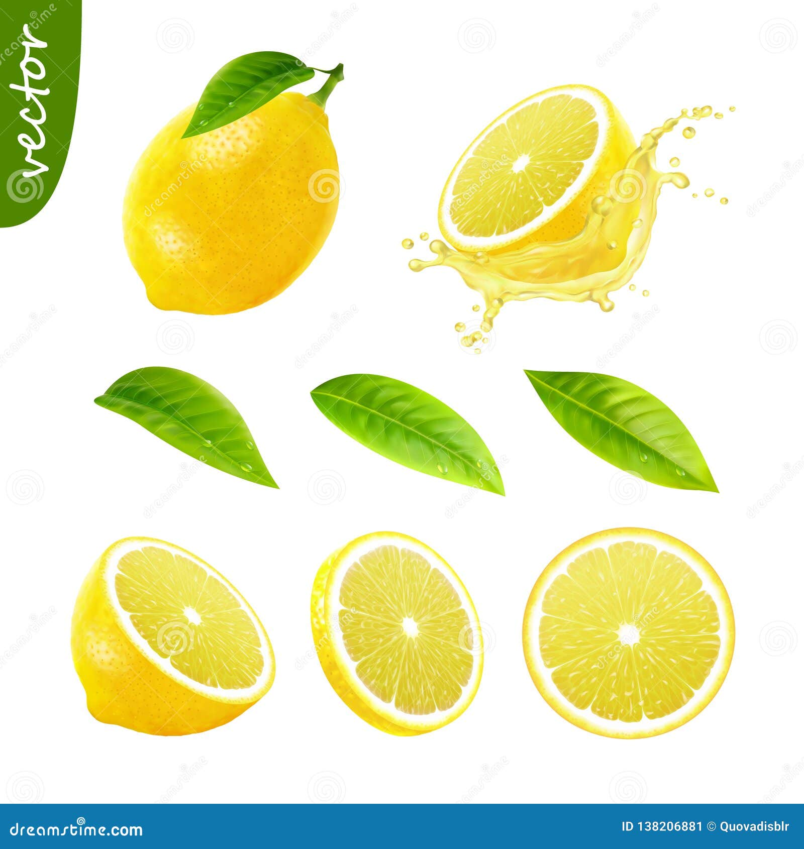 3d Realistic Vector Set Of Elements Whole Lemon With Leaf , Sliced ...