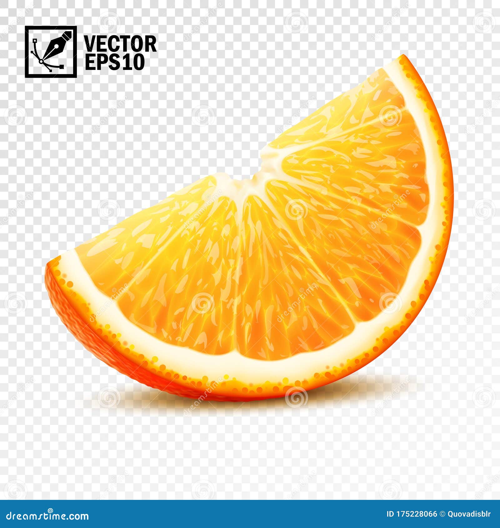 3d Realistic Vector Slice of Half an Orange Stock Illustration ...