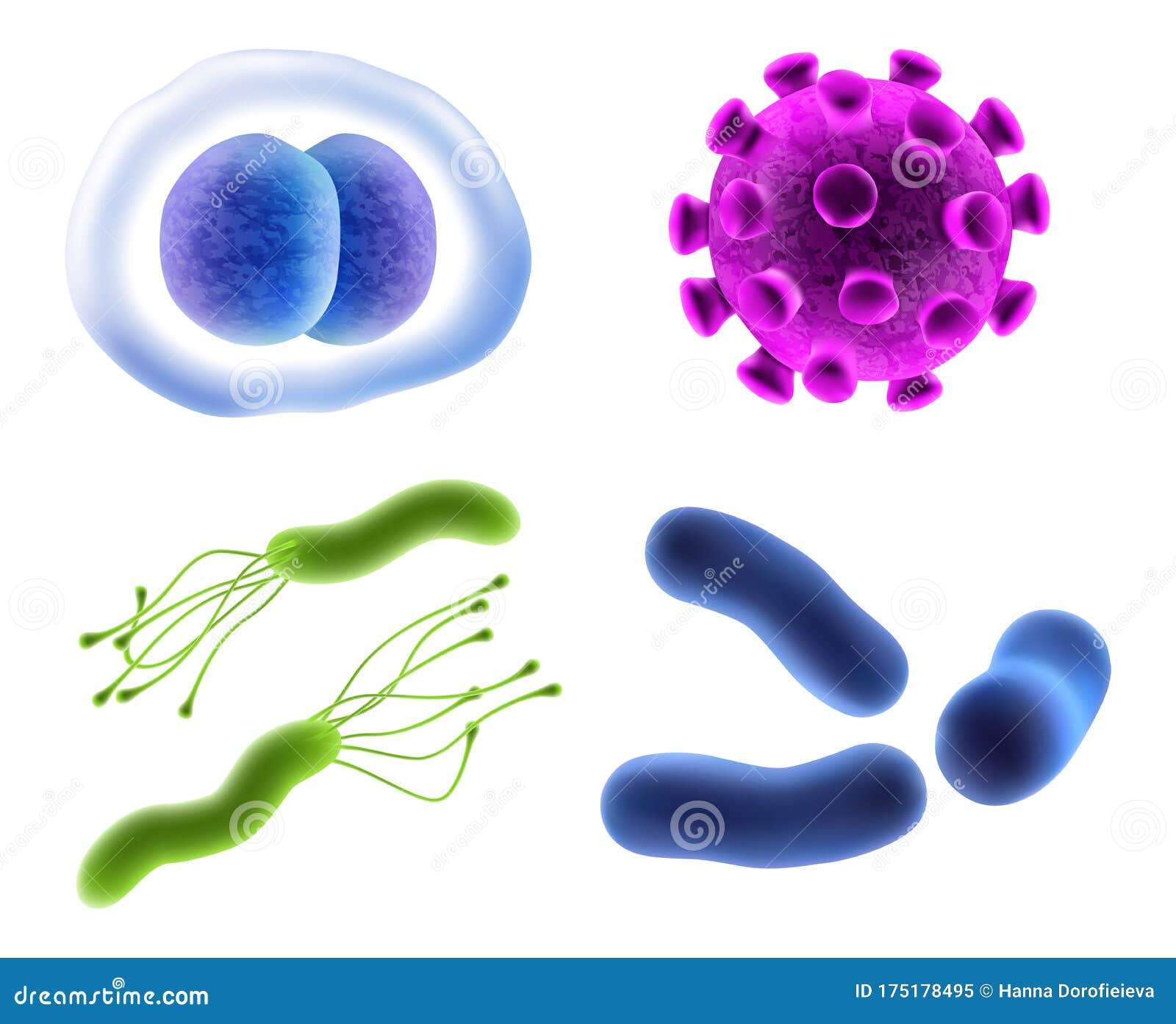 3D Realistic Viruses, Bacteria and Germ Microbes Stock Vector ...