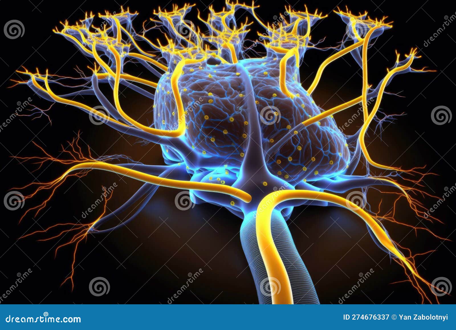 A D Reconstruction of a Neural Circuit. Generative AI Stock ...
